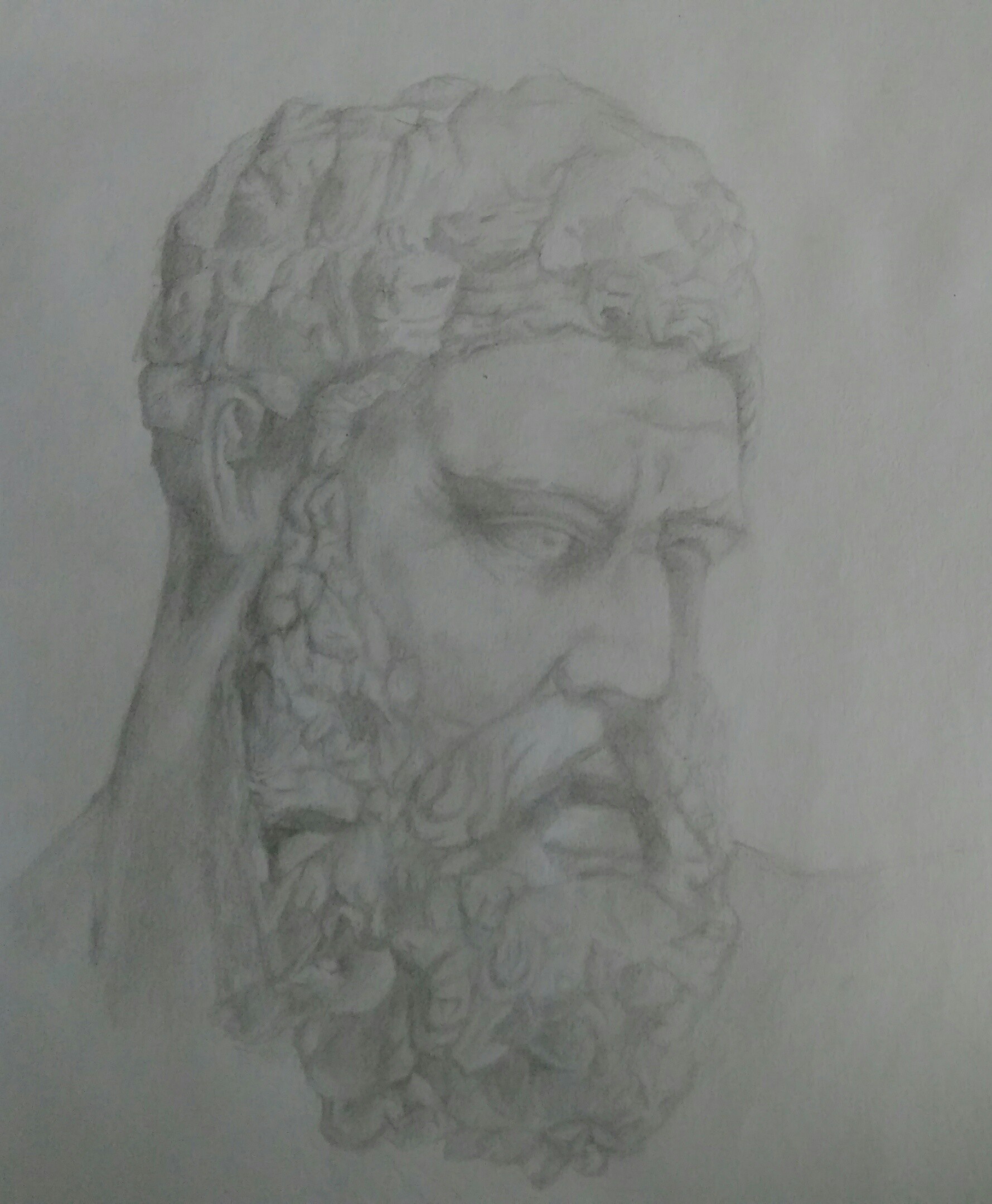 ArtStation - Drawing of Hercules ' head