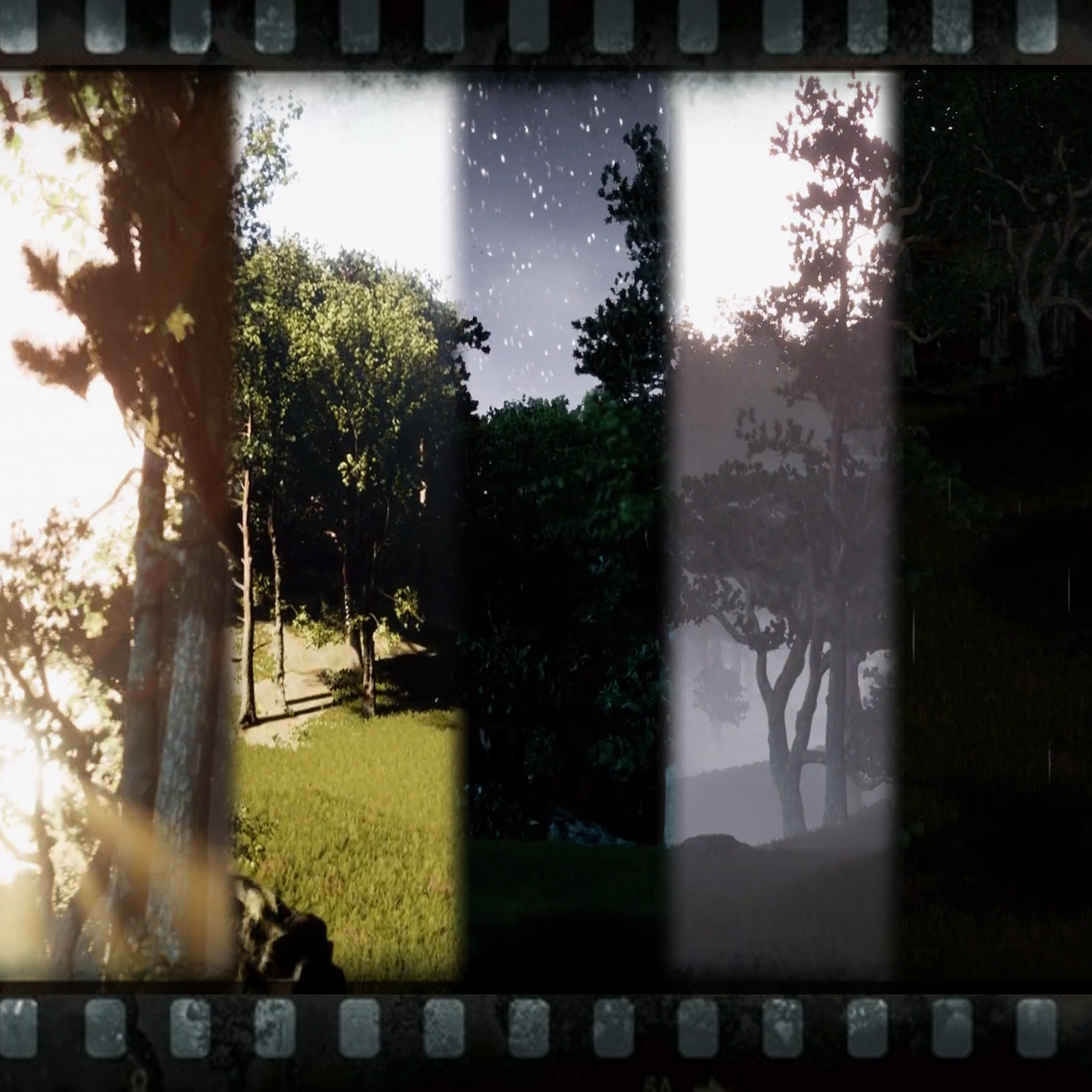 ArtStation - Dynamic Forest (2017)