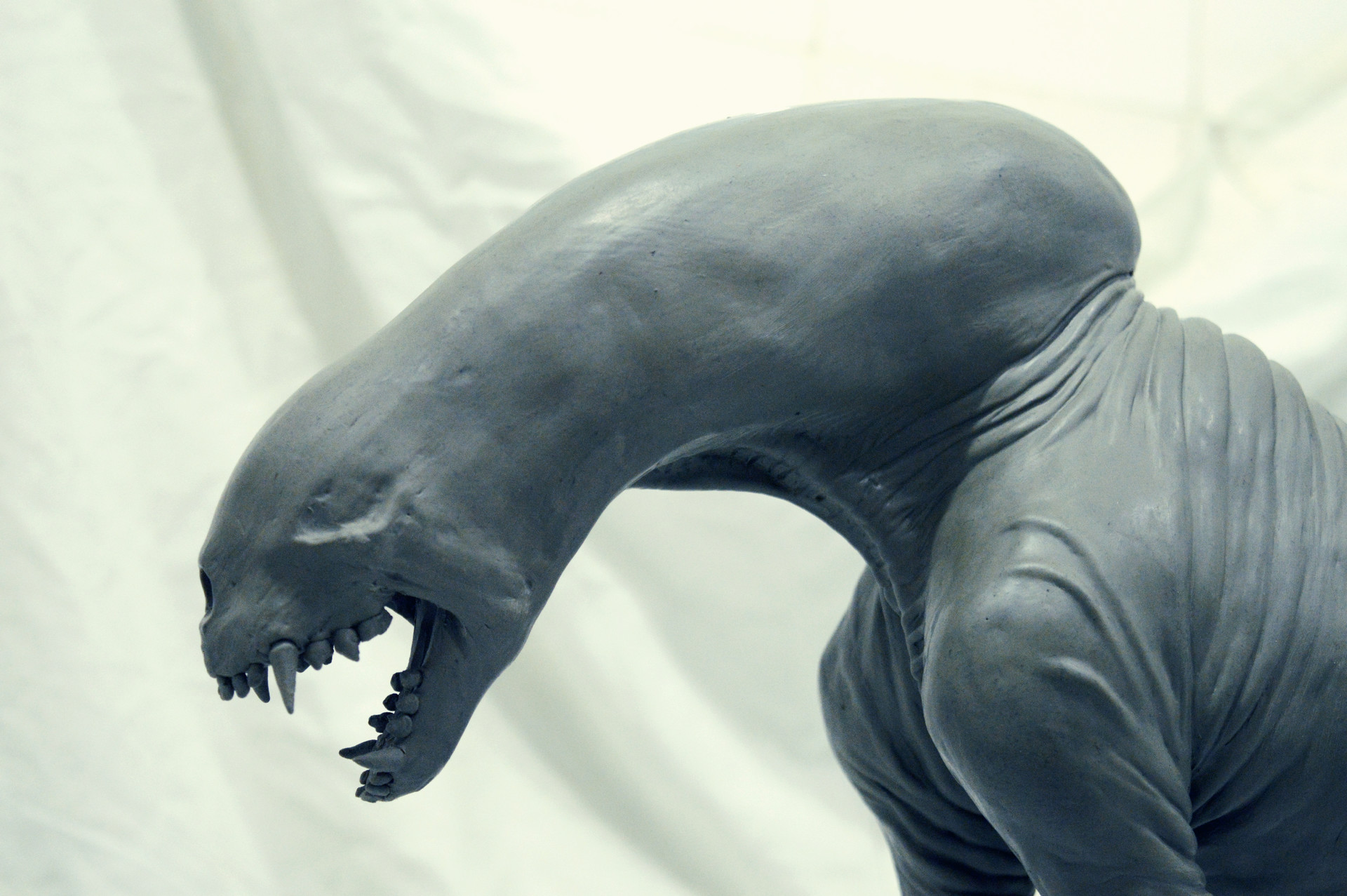 ArtStation - Alien monkey cat