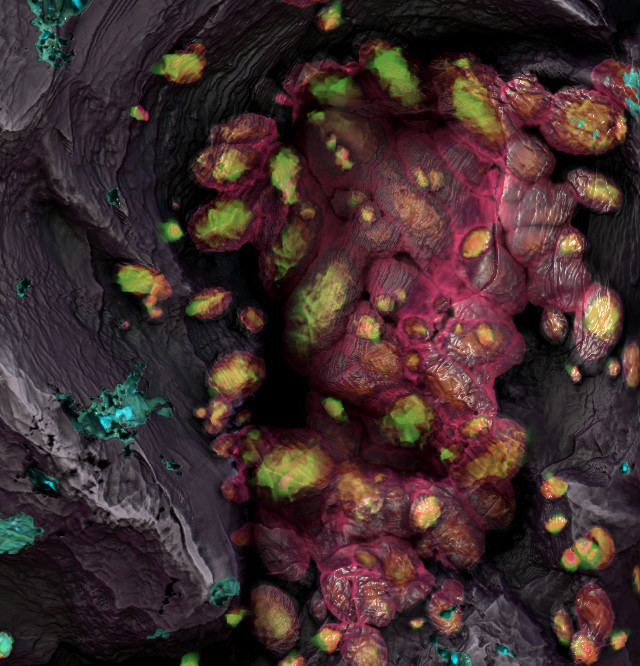 ArtStation - Alien Texture Studies