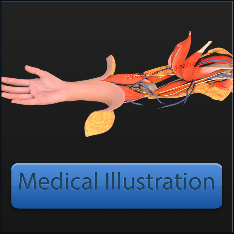 ArtStation - Medical Illustration