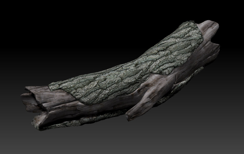 ArtStation - Darina Shirokova