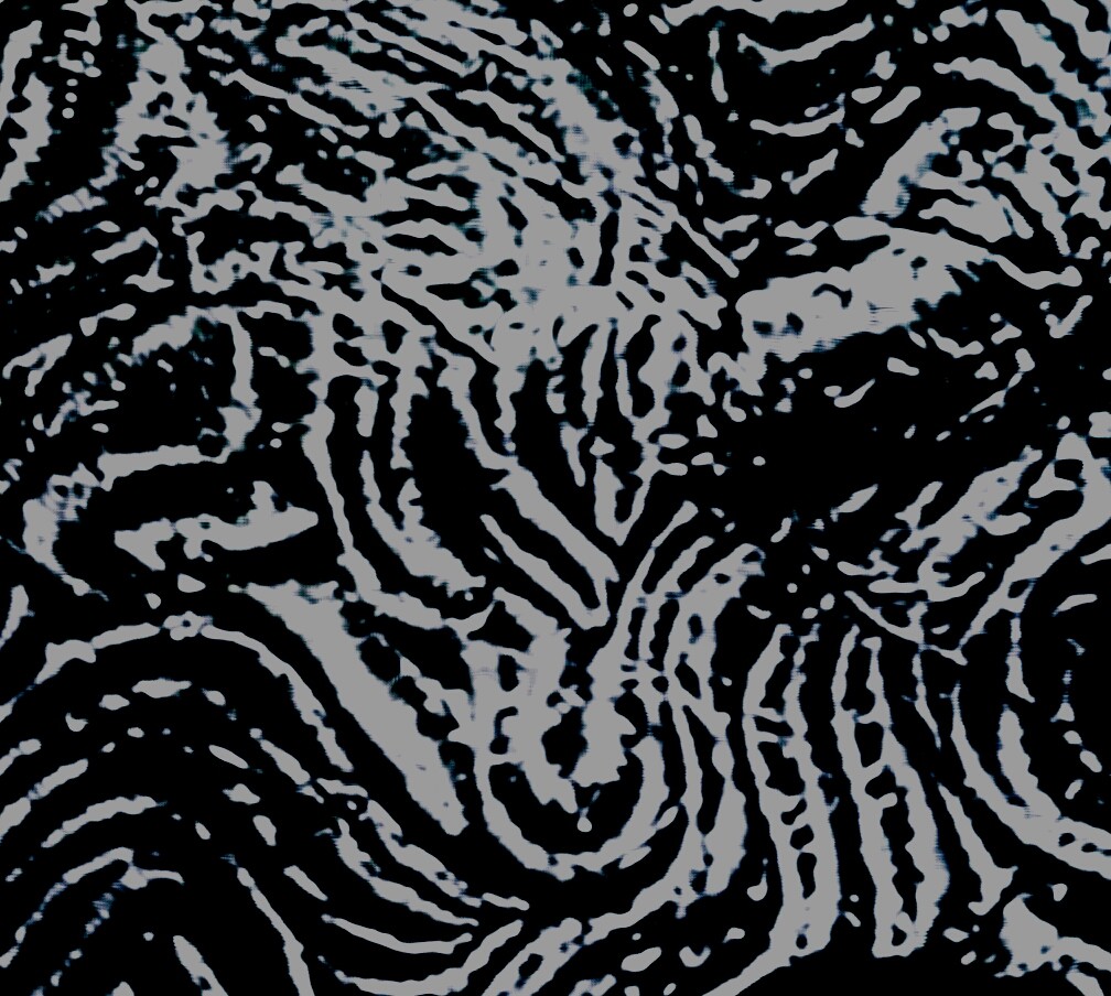 Terry Herbert - No Title