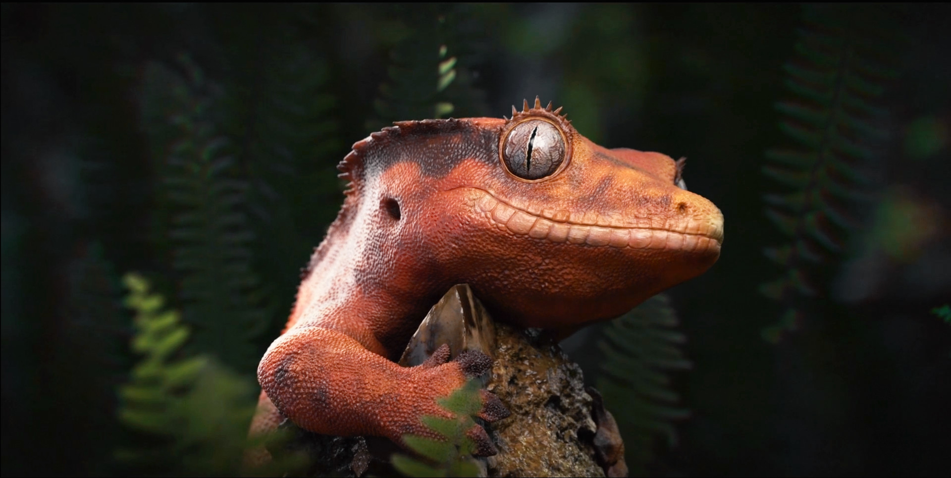 ArtStation - Gecko Project