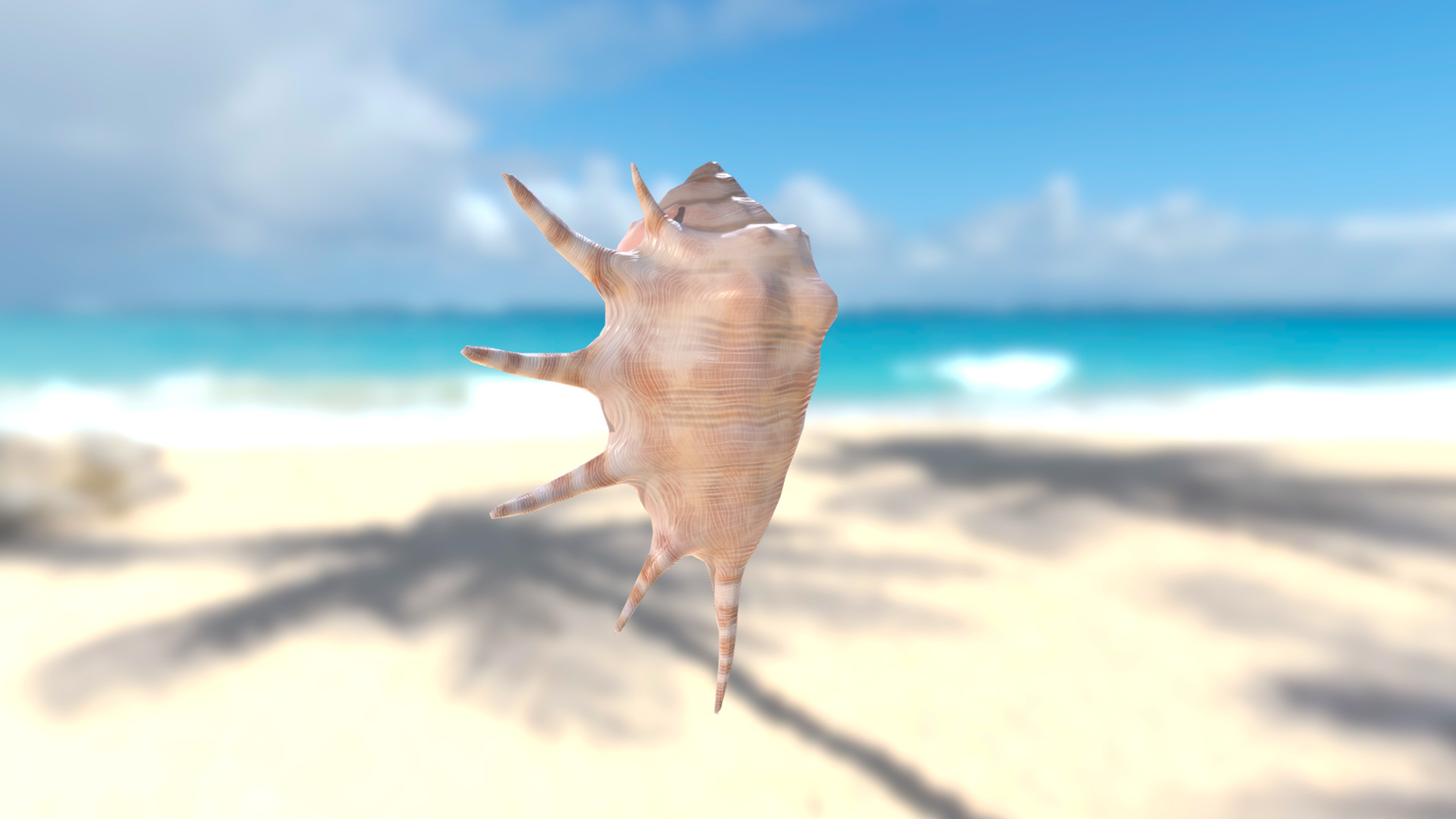 ArtStation - Seashell