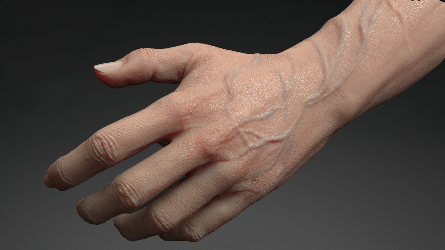 ArtStation - Anatomy Studies