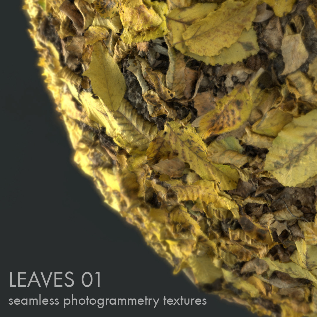 ArtStation - Leaves 01 - seamless photogrammetry texture