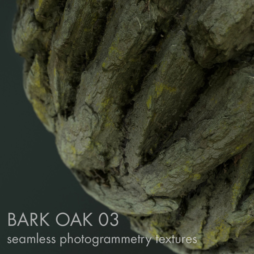 ArtStation - Oak tree bark 03 - seamless photogrammetry texture