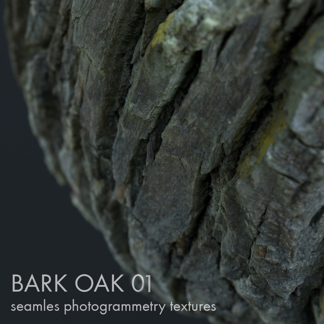 ArtStation - Oak tree bark 01 - seamless photogrammetry texture