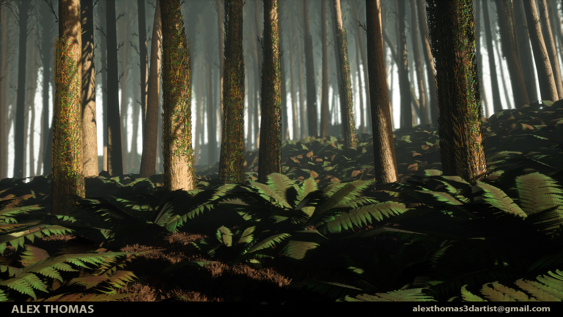 ArtStation - Dense Forest