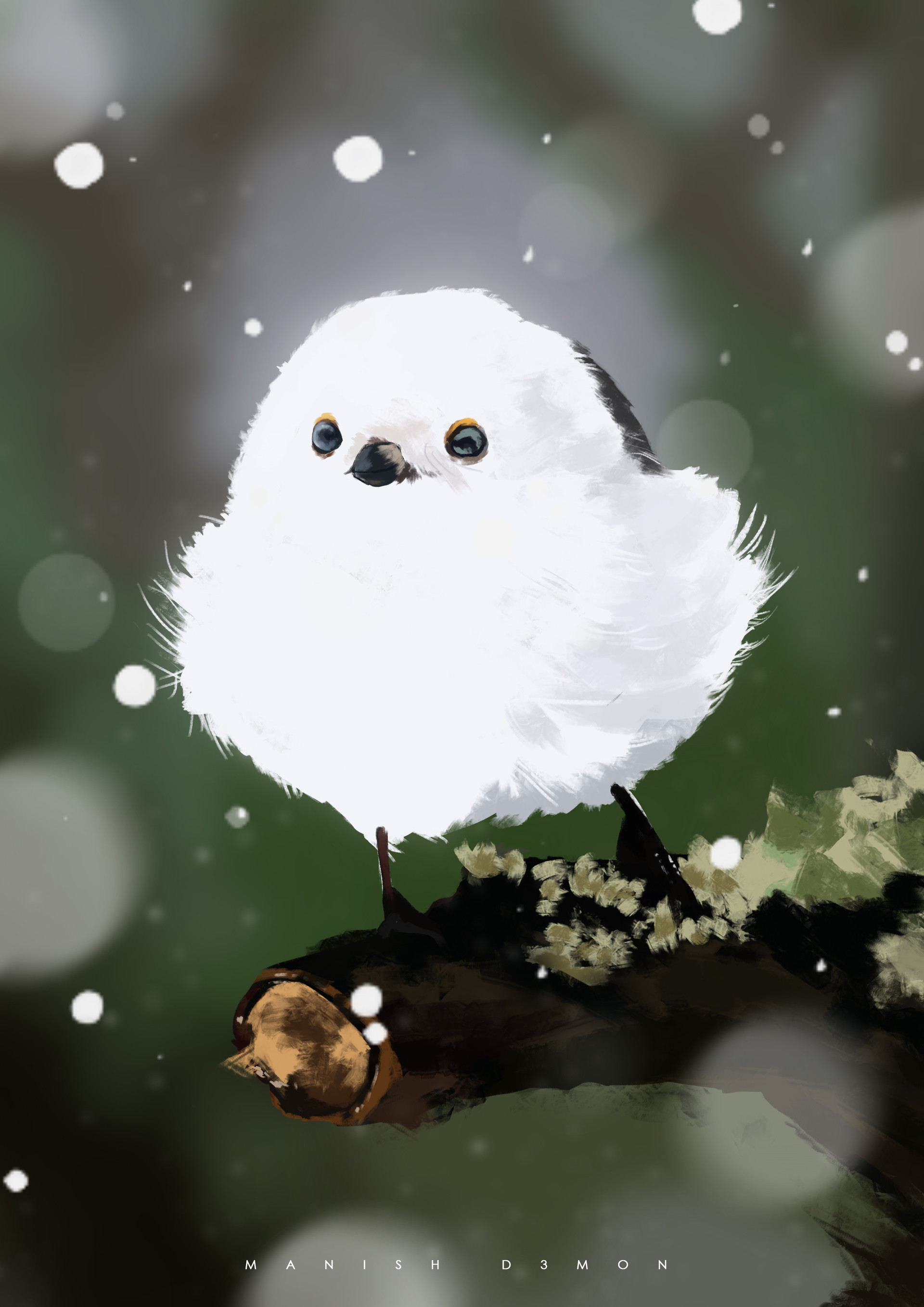ArtStation - Floof Birb
