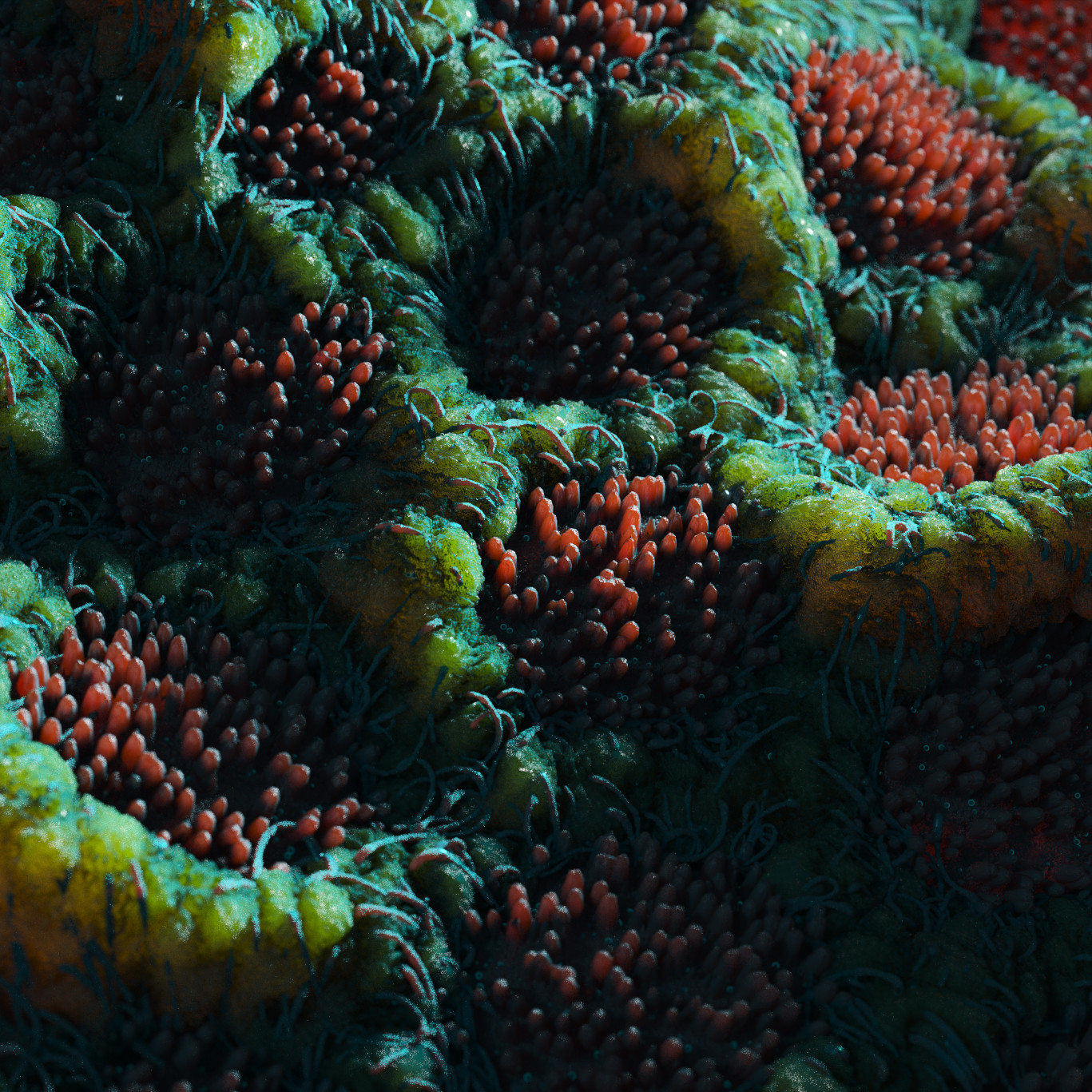 ArtStation - Alien Surface Macro