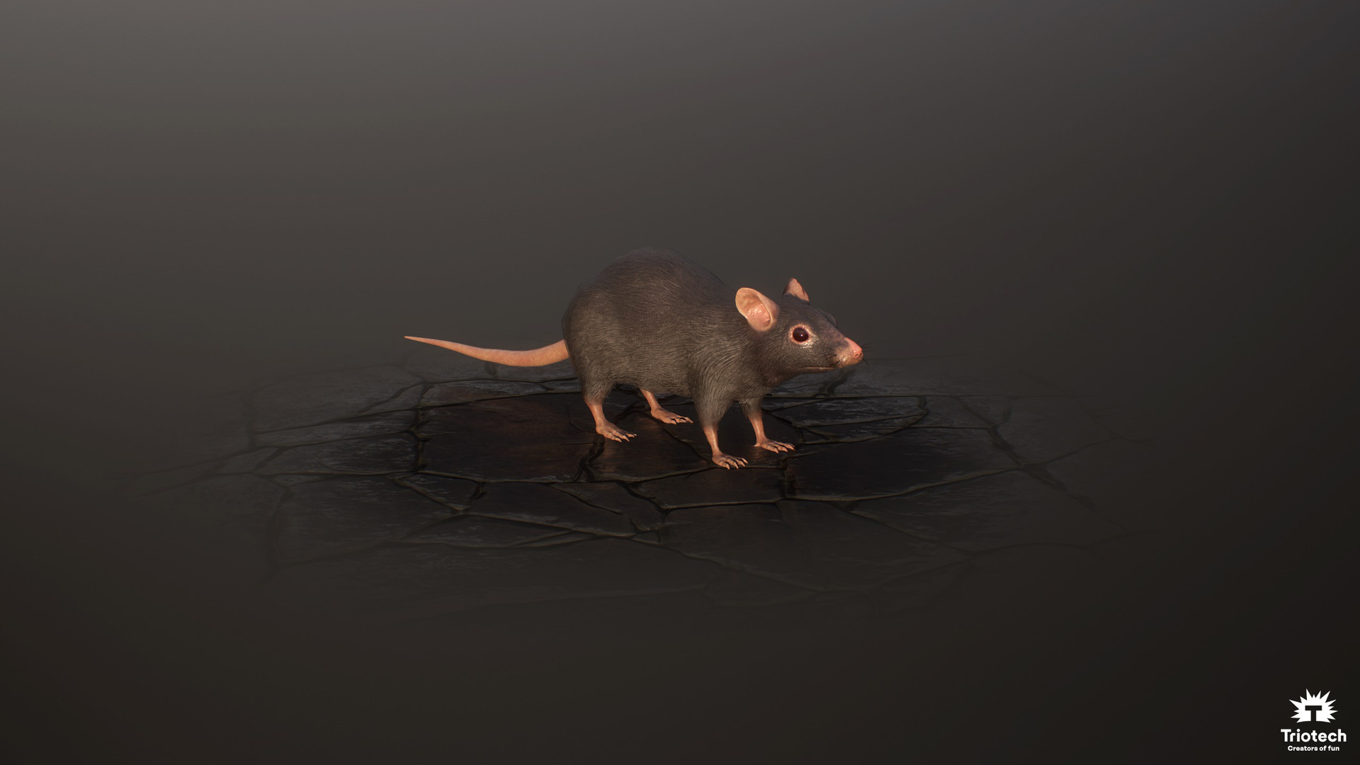 ArtStation - Rat
