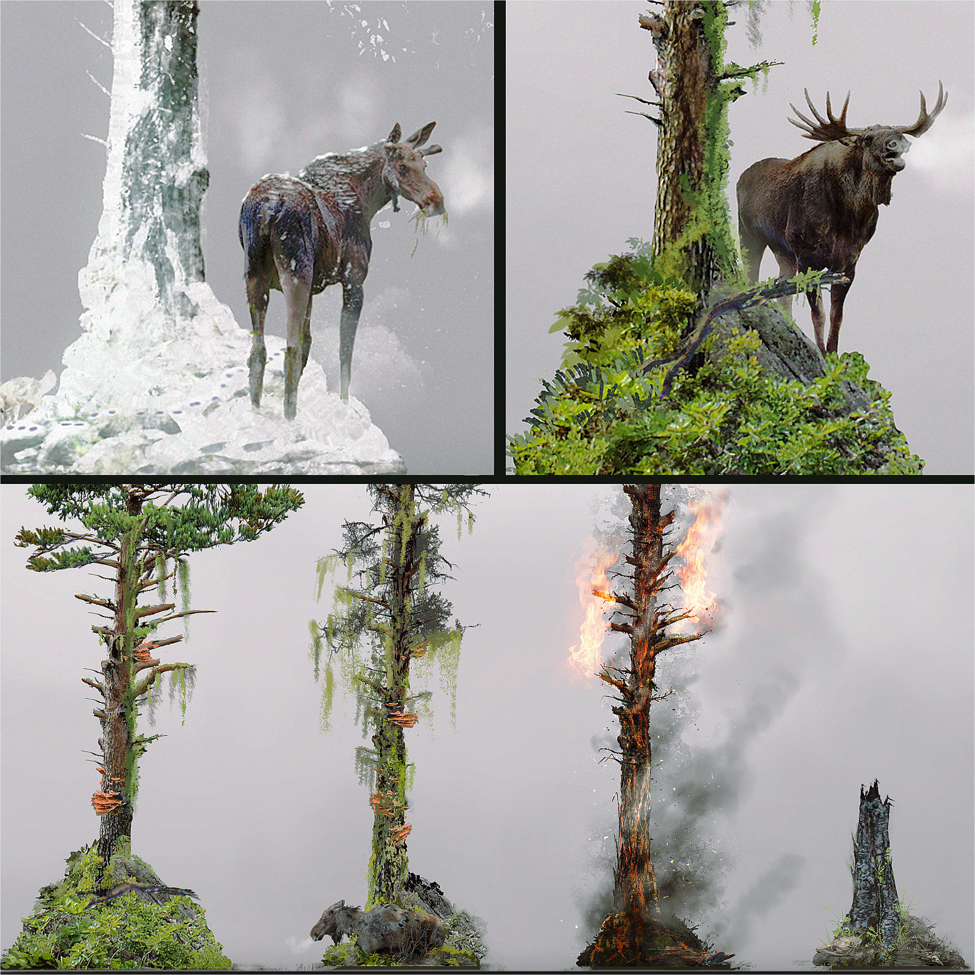 ArtStation - Life cycle of a forest