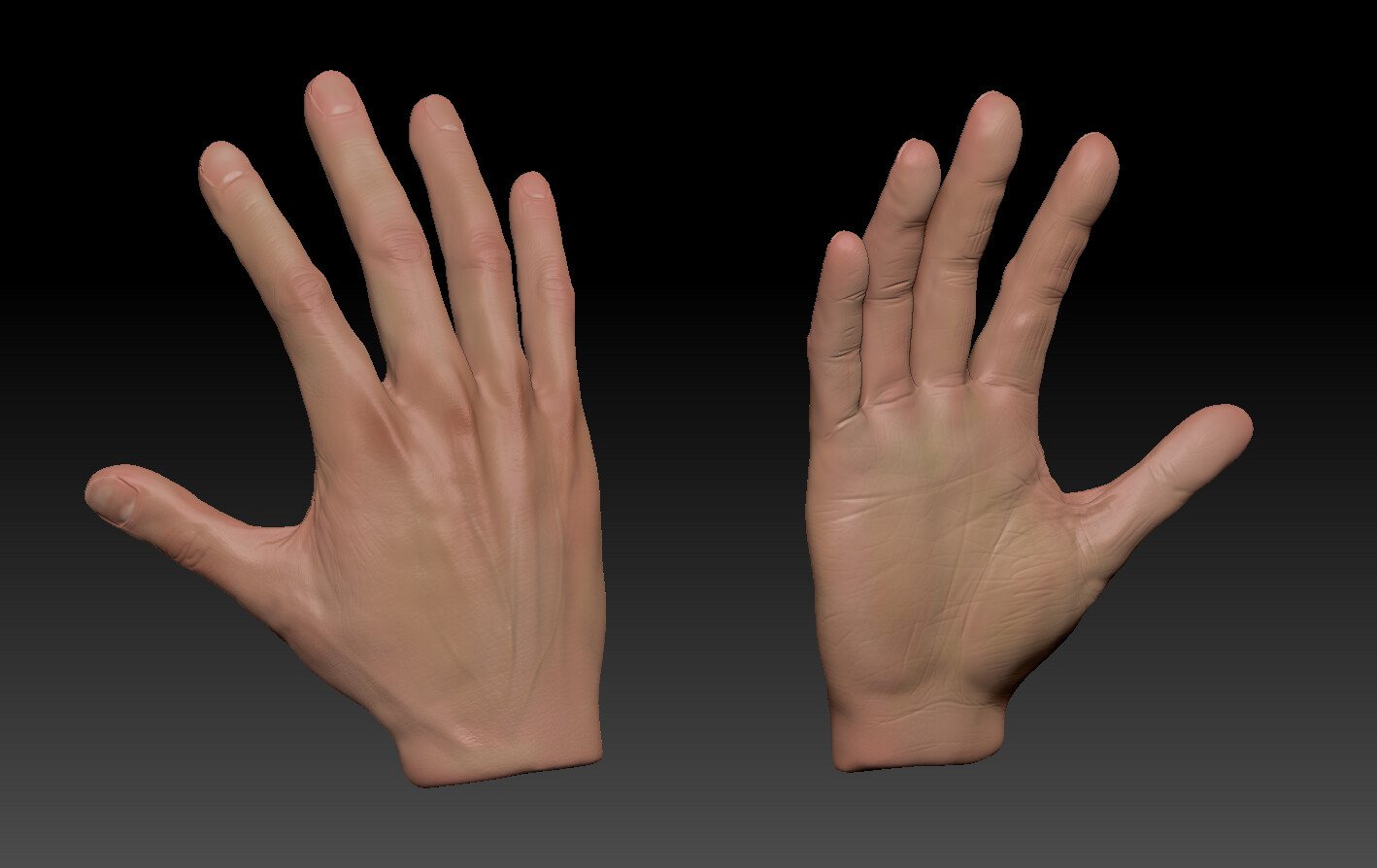 ArtStation - Hand sculpt - Anatomy