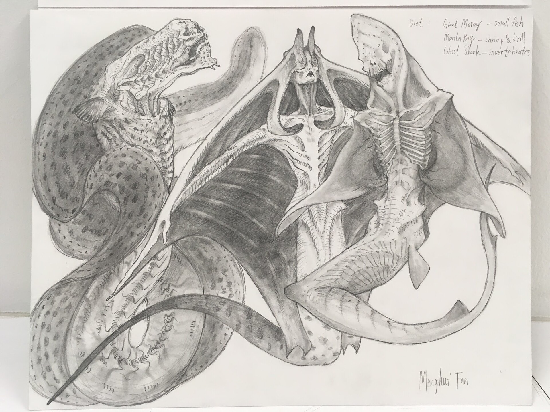 ArtStation - Creature Design Sketches