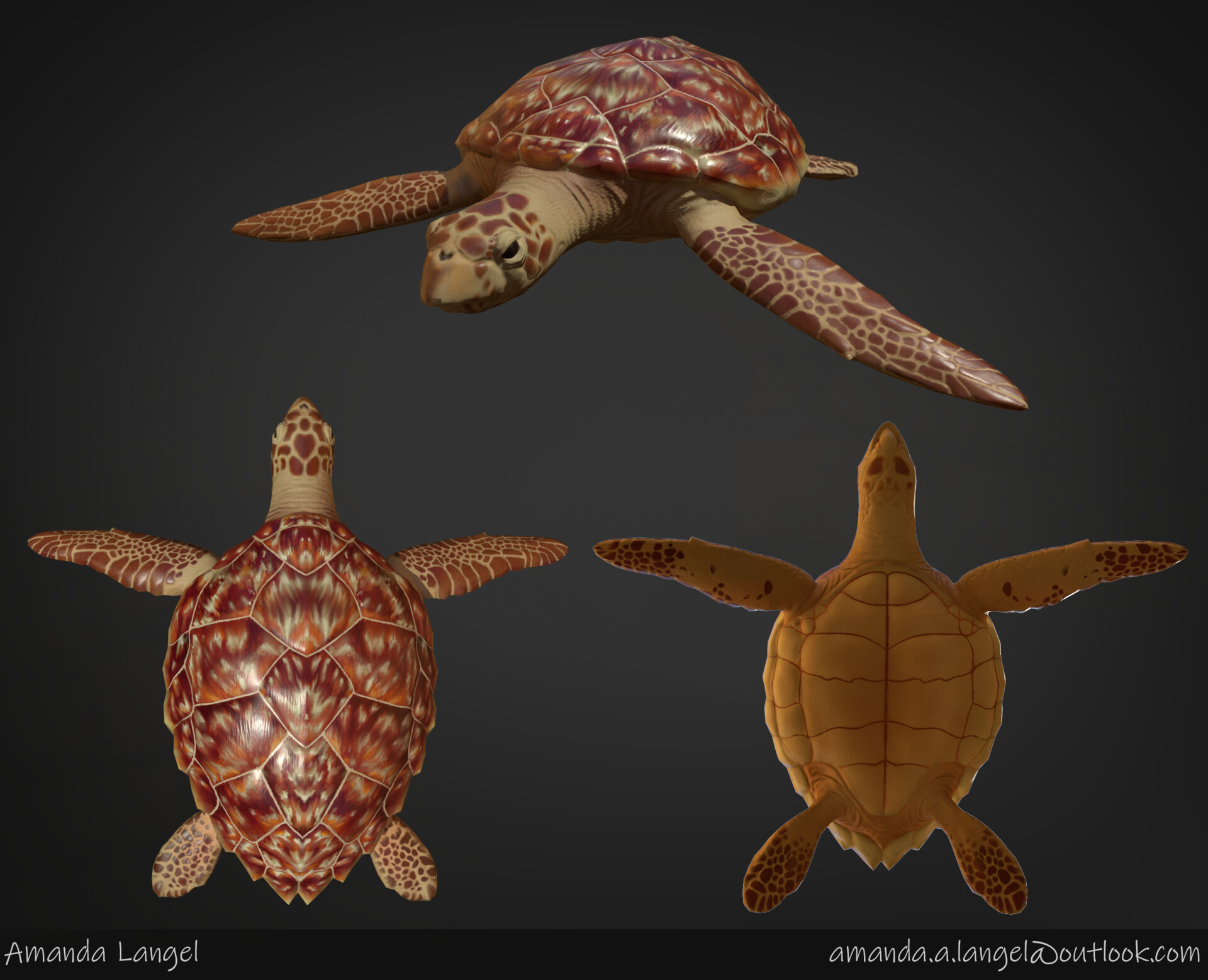 ArtStation - Hawksbill Sea Turtle