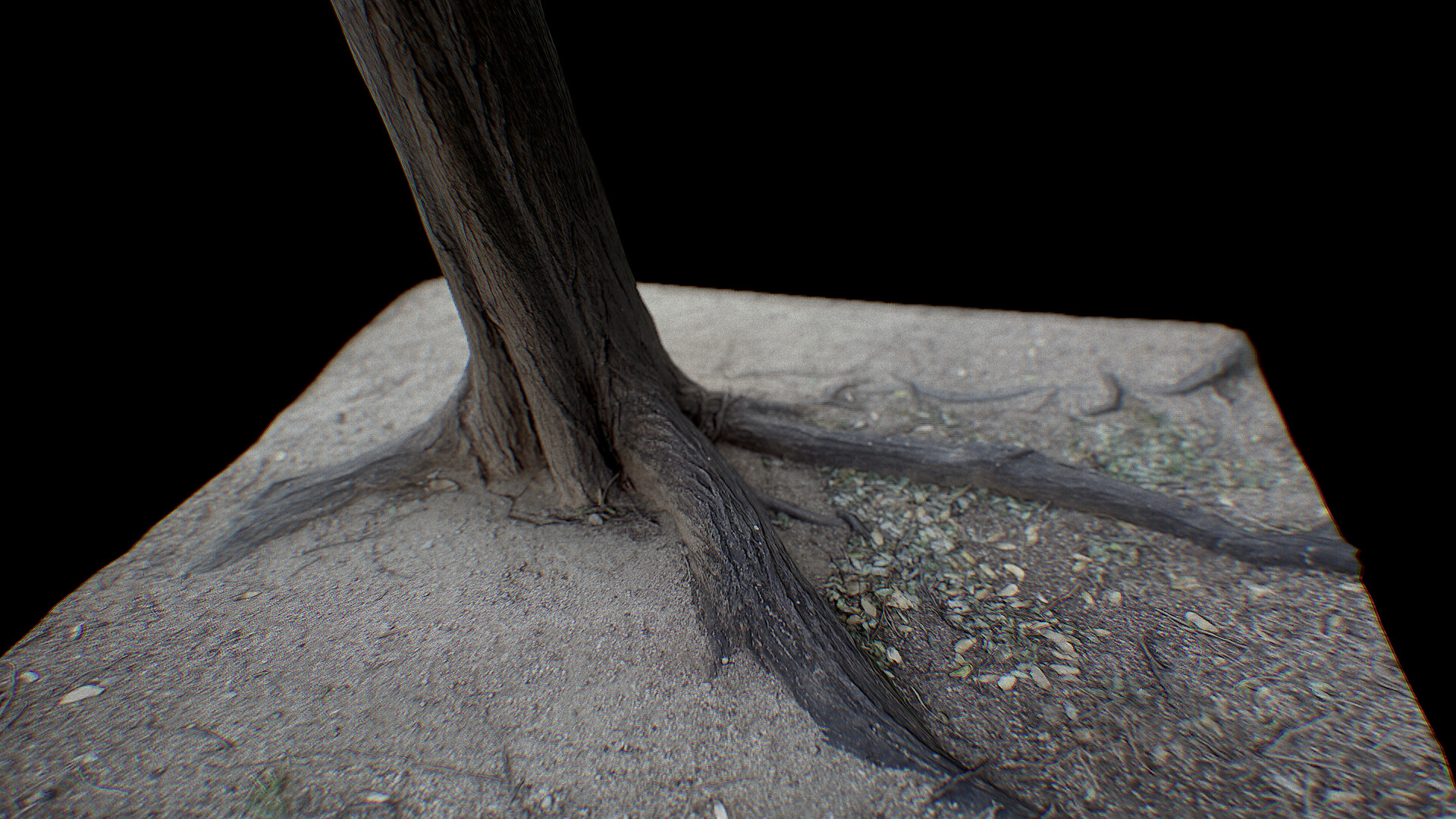 ArtStation - Photogrammetry Tree test 001