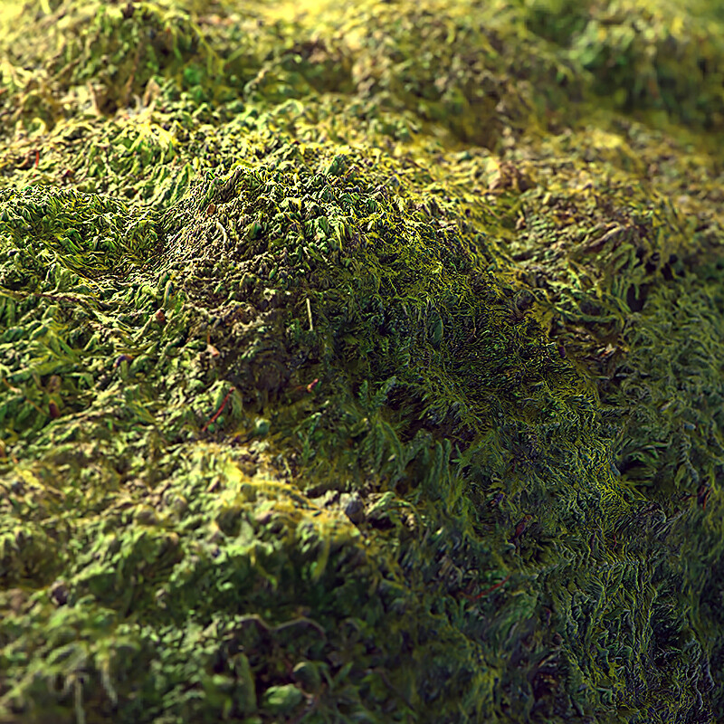 ArtStation - Material - Thick Moss