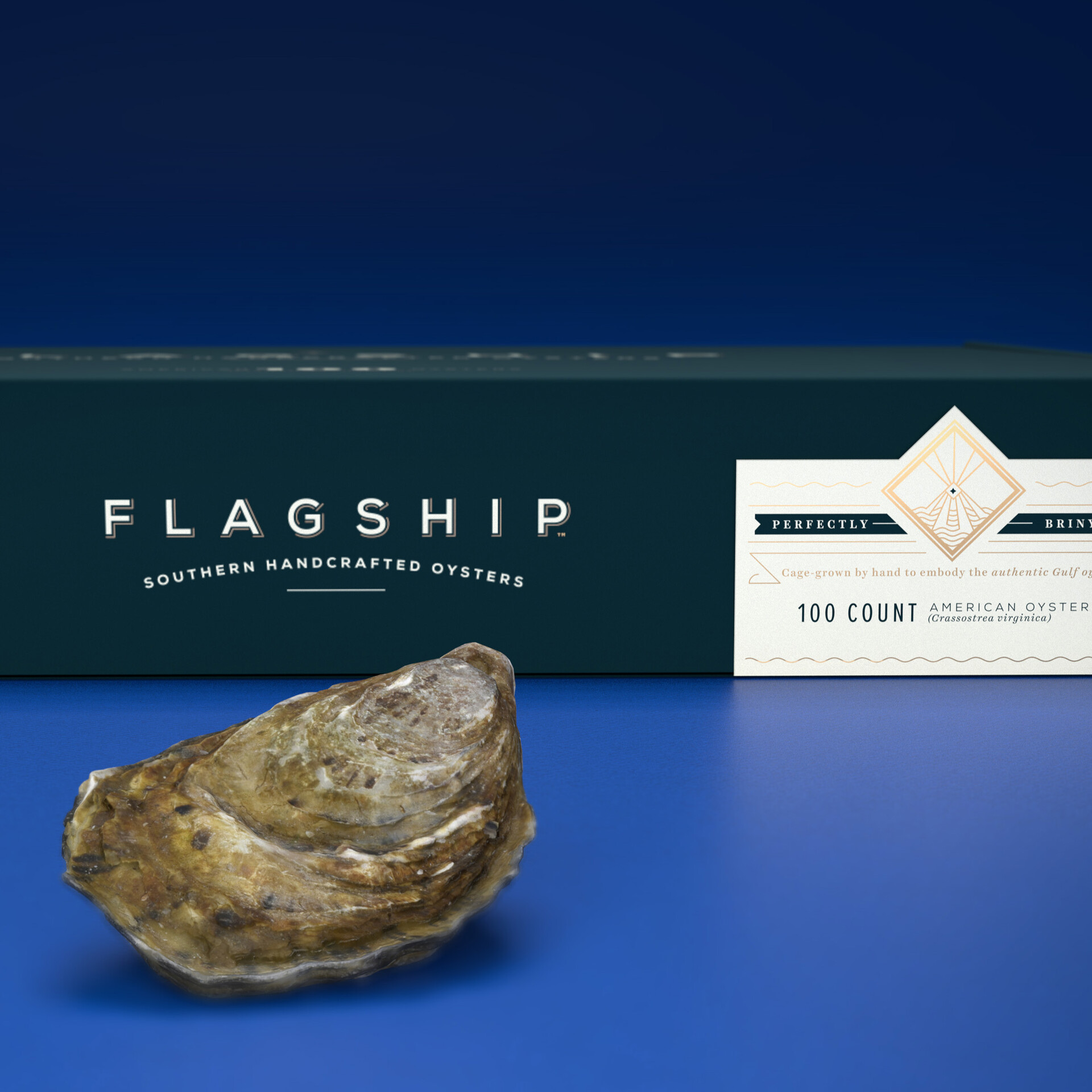 ArtStation - Flagship Oyster - box packaging