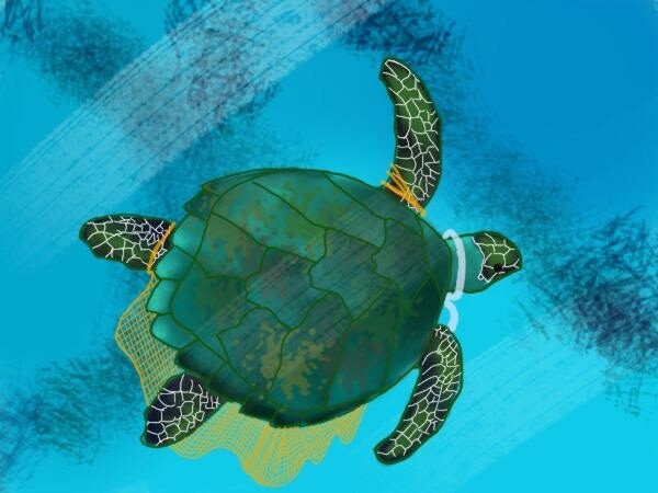 ArtStation - Sea turtle and sea pollution