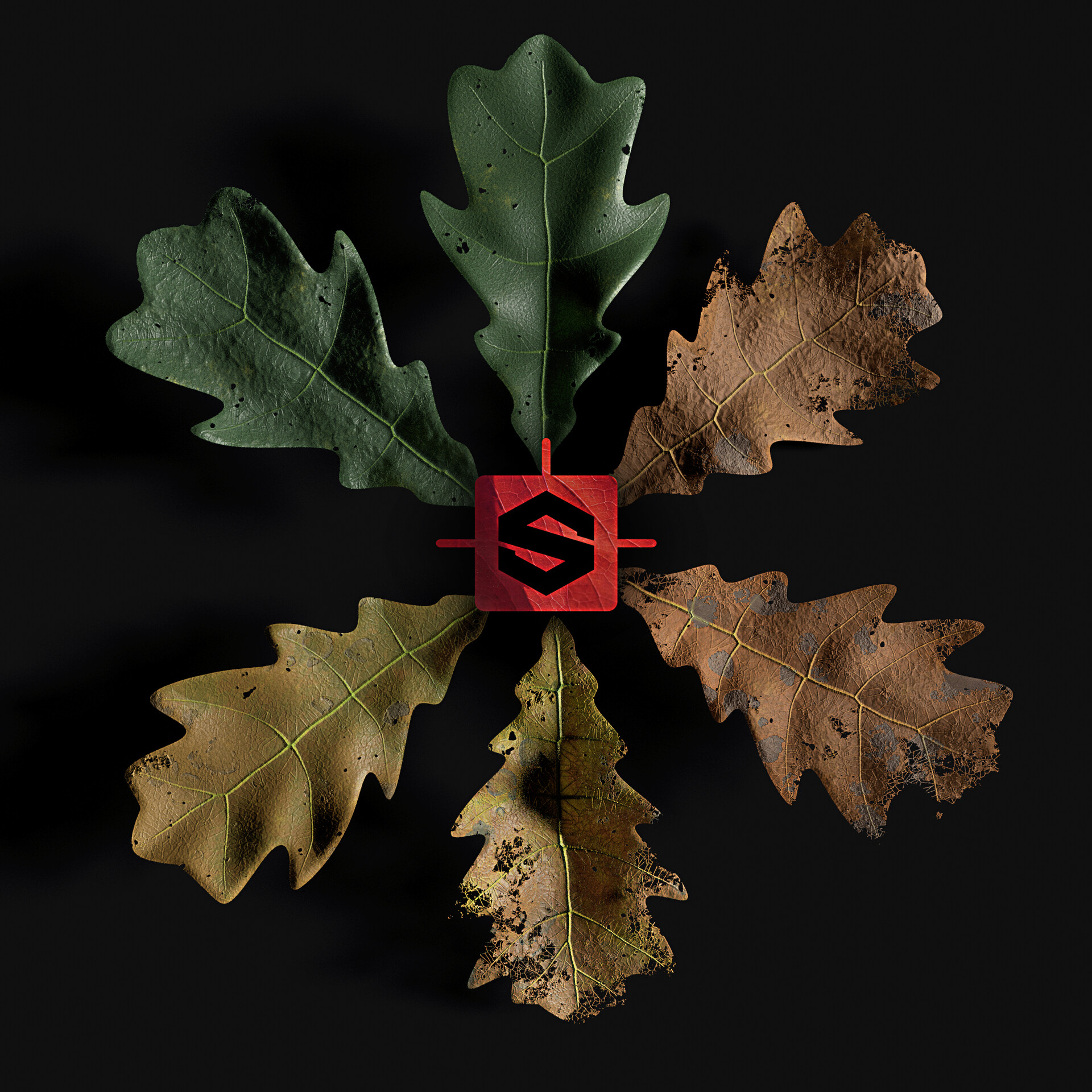 ArtStation - Procedural oak leaves generator
