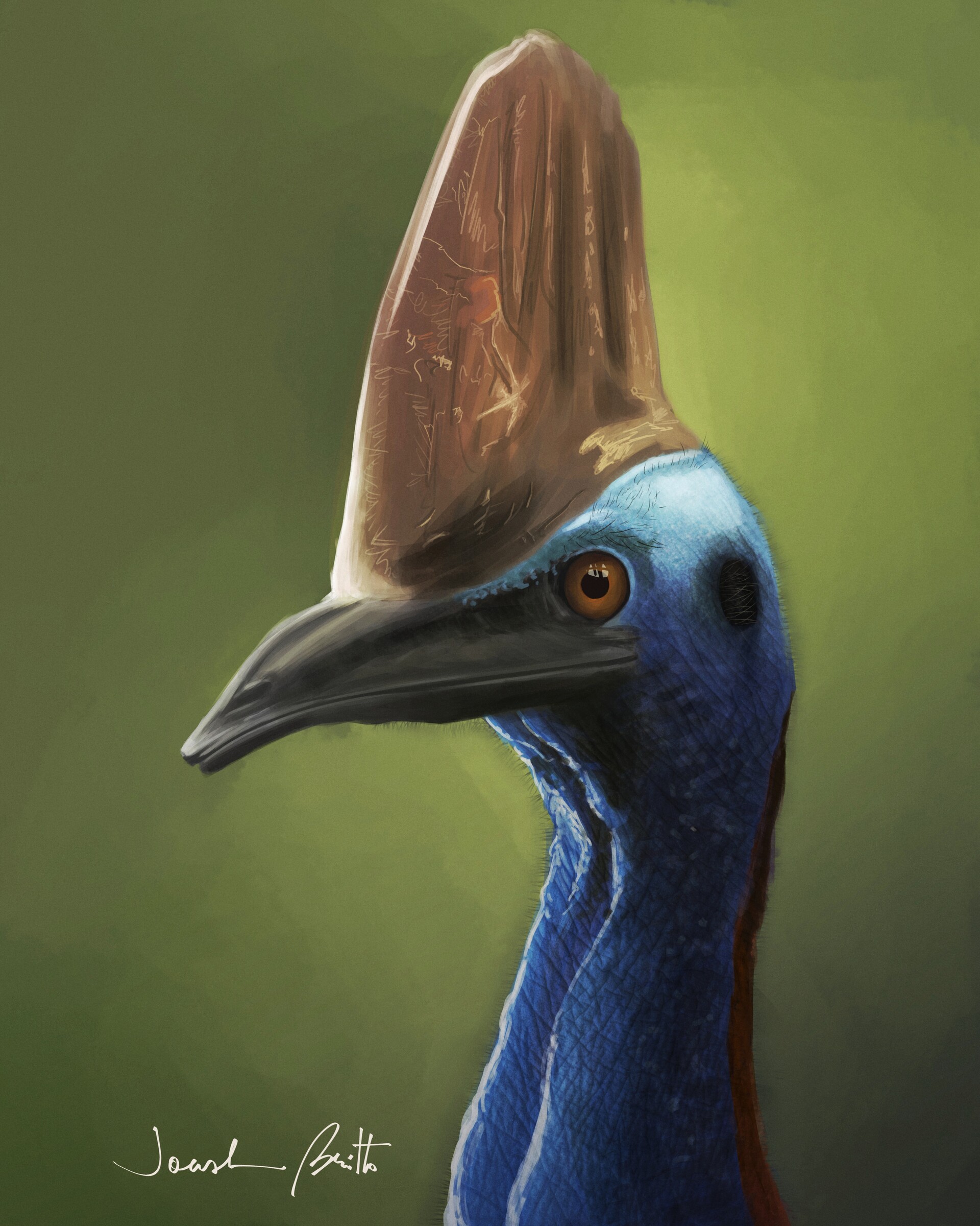 ArtStation - Cassowary