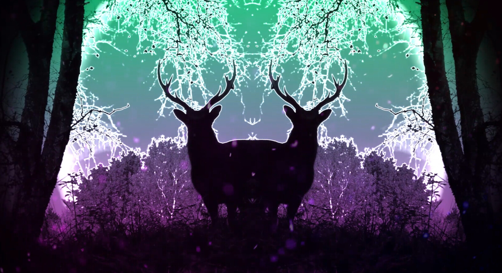 Ting Wen - Concept Video - Escalate by Tsar B