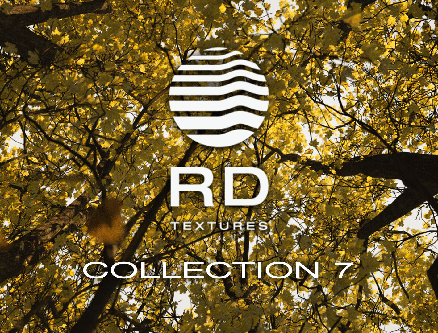 ArtStation - RDT COLLECTION 7