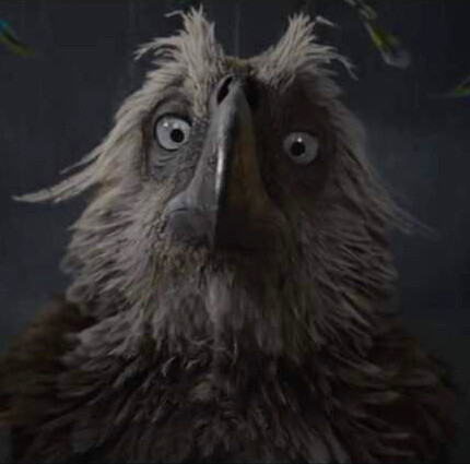 ArtStation - Augurey from Fantastic beasts 2 :The crimes of grindelwald