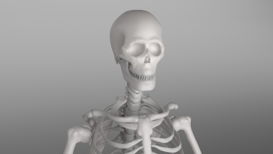 ArtStation - Project 1 - Bony Tony