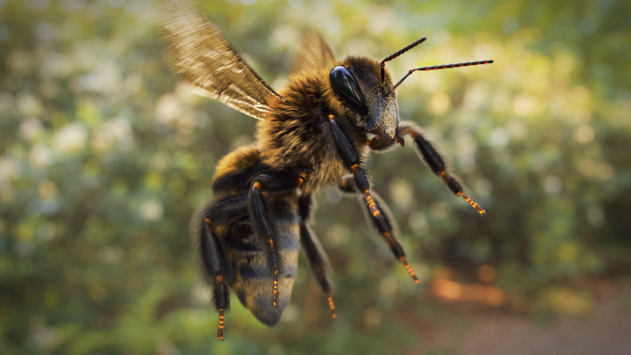 ArtStation - A bee