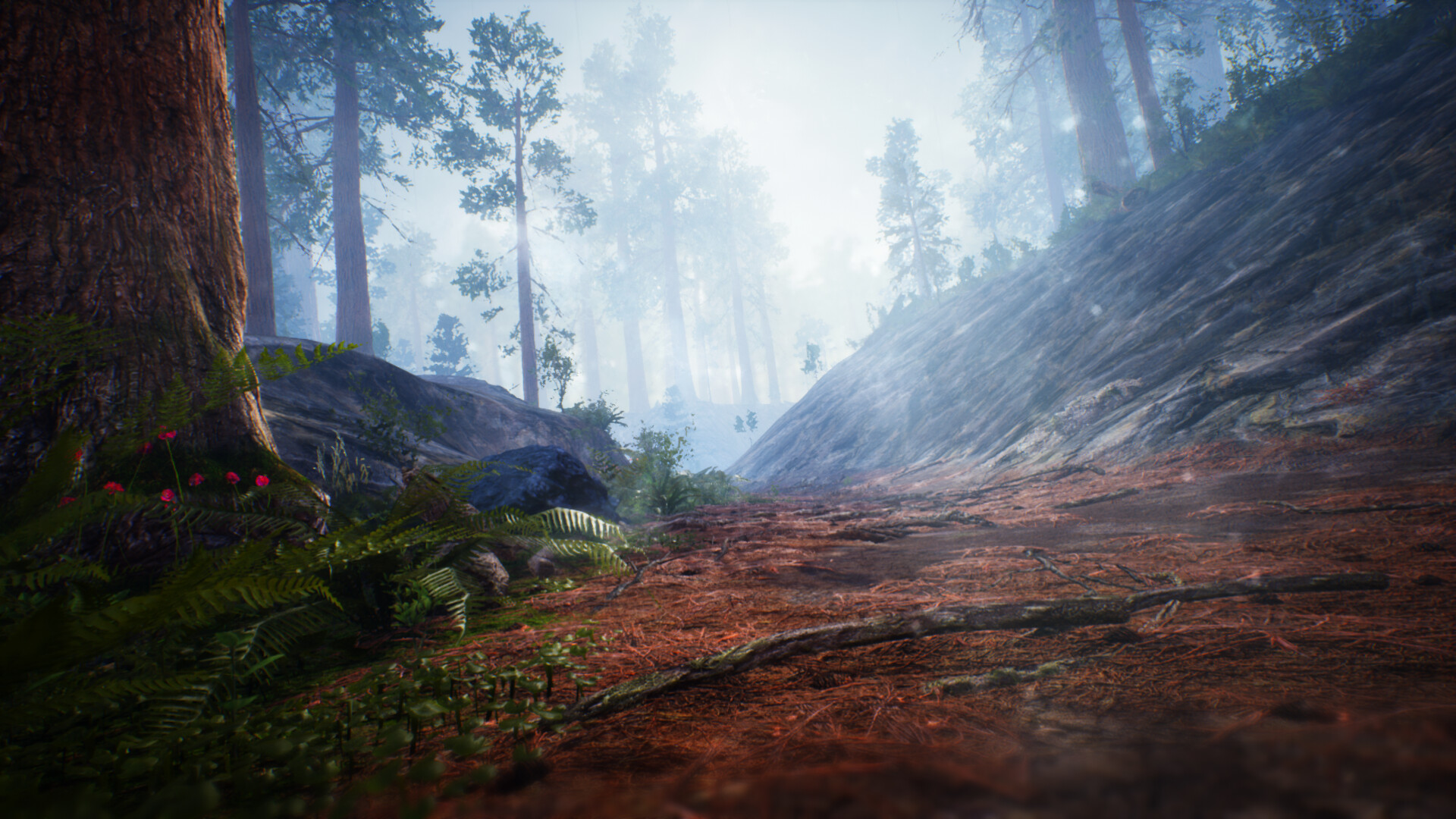 ArtStation - Rainy Redwood Forest - Unreal Engine 4 Environment