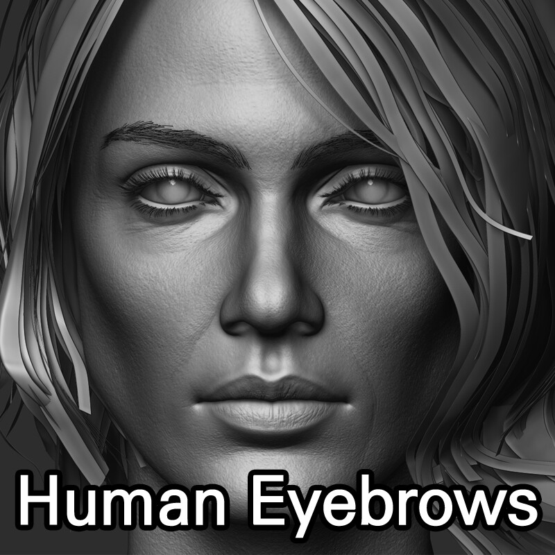 ArtStation - Human Eyebrows Pack