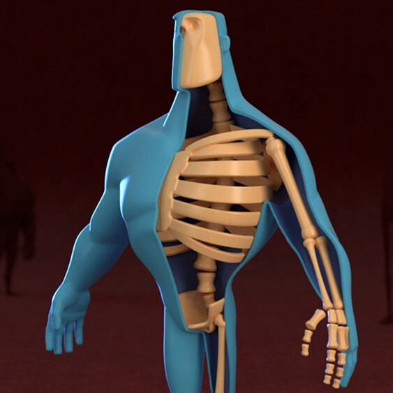 ArtStation - Skeletons for the characters