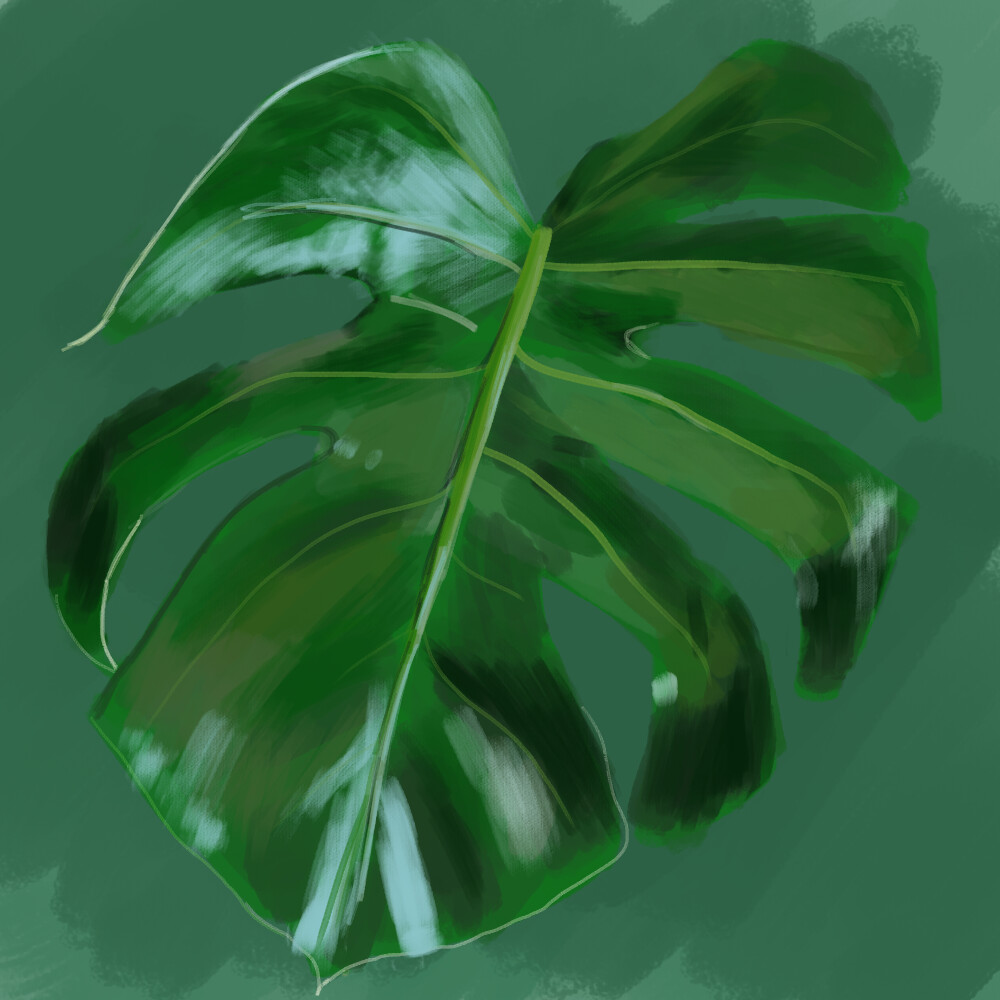 ArtStation - Monstera leaf