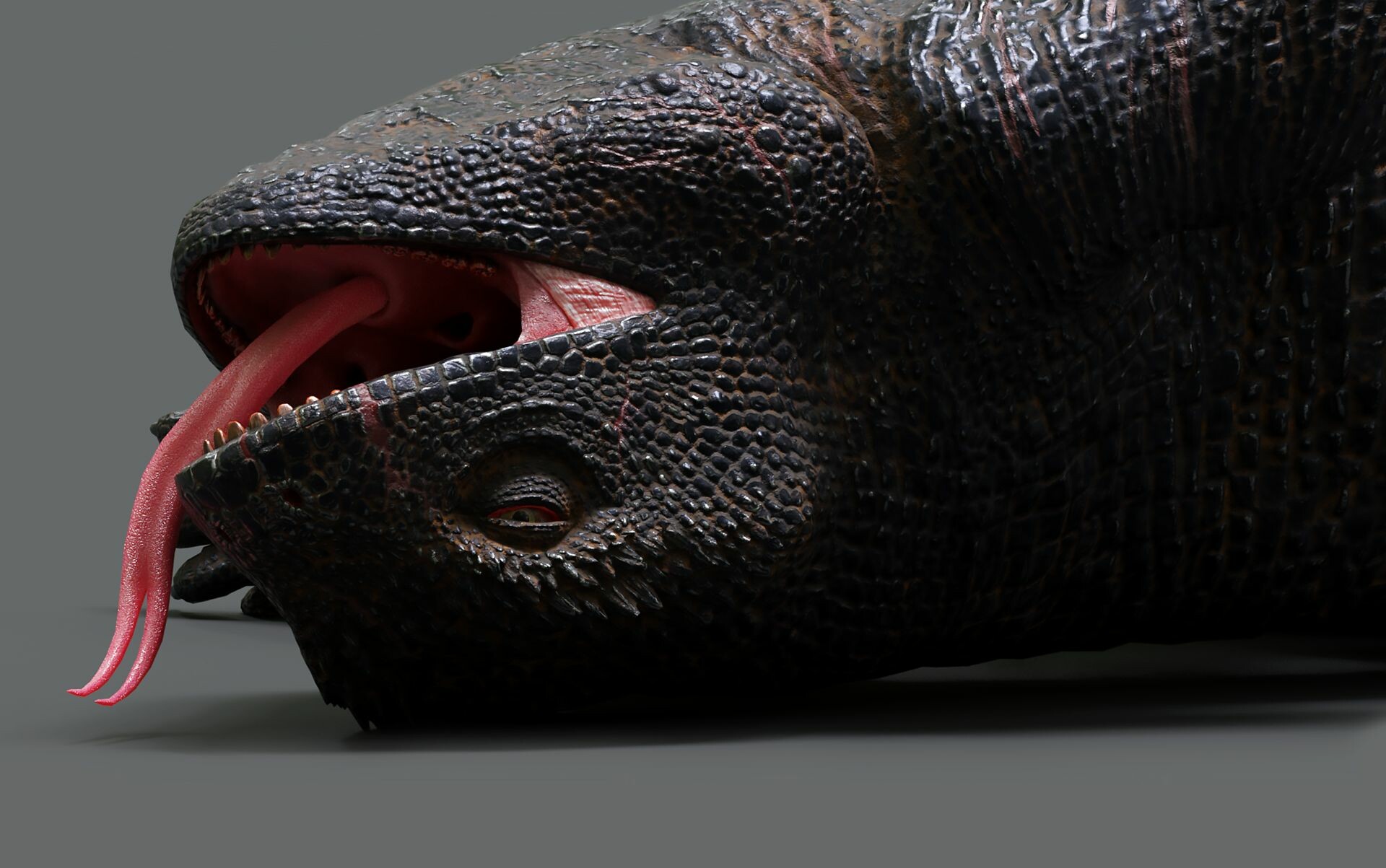 Quinn Herrmann - Draccus (The Name of the Wind / Kingkiller Chronicle)