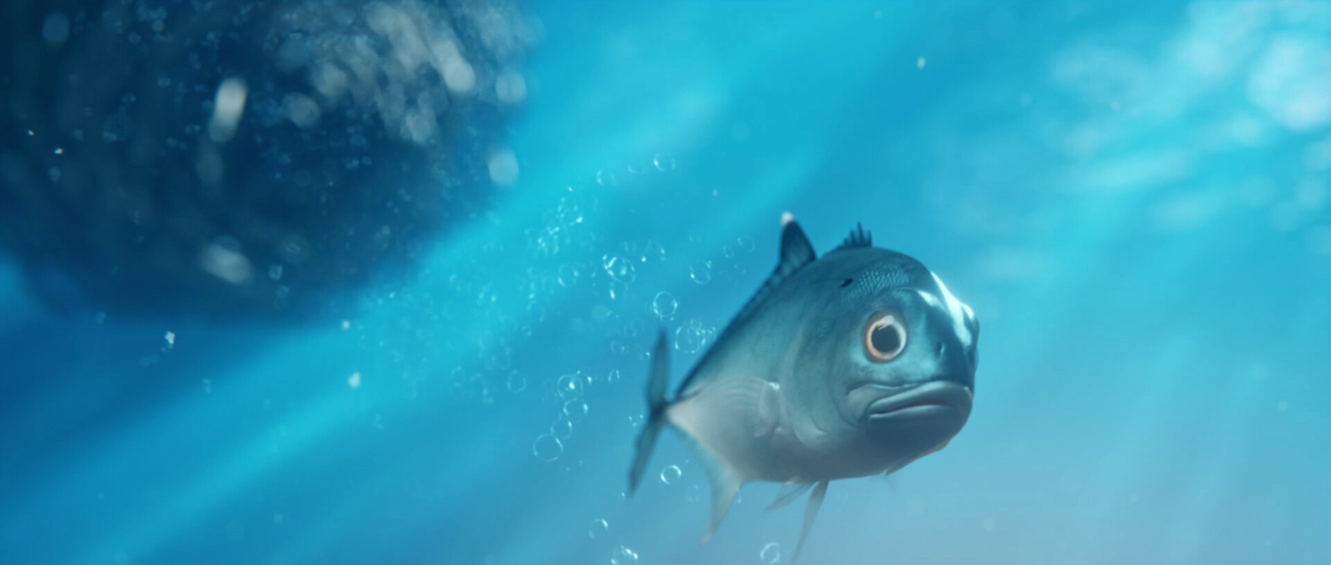 ArtStation - LottoMax Fish