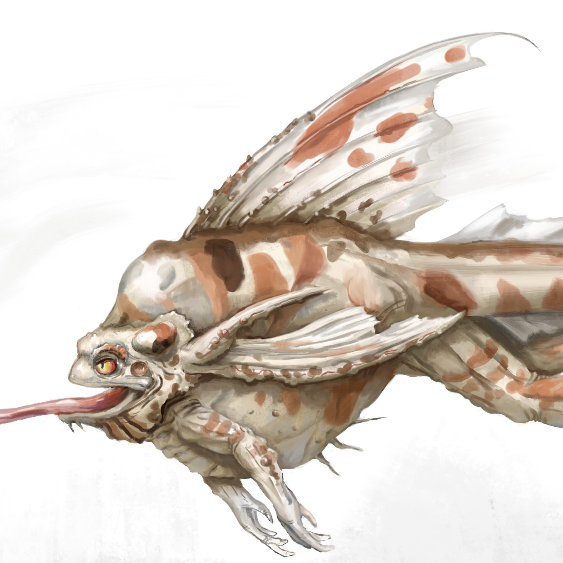 ArtStation - Toadfish