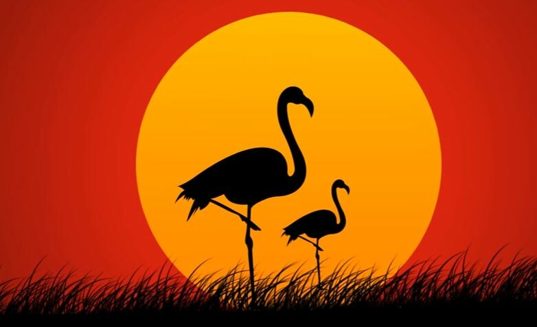 ArtStation - Adobe Illustrator