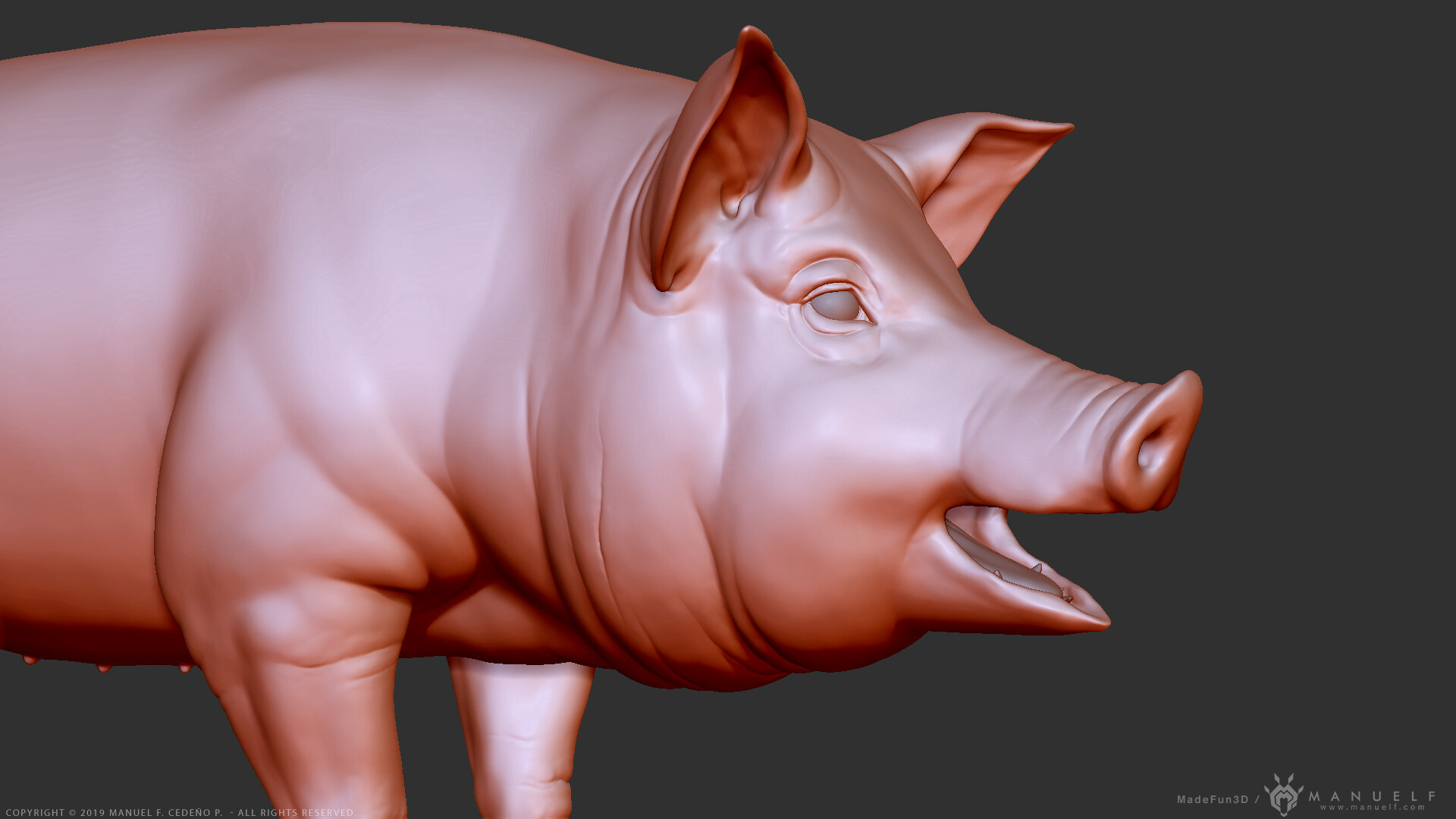 ArtStation - Domestic Pig
