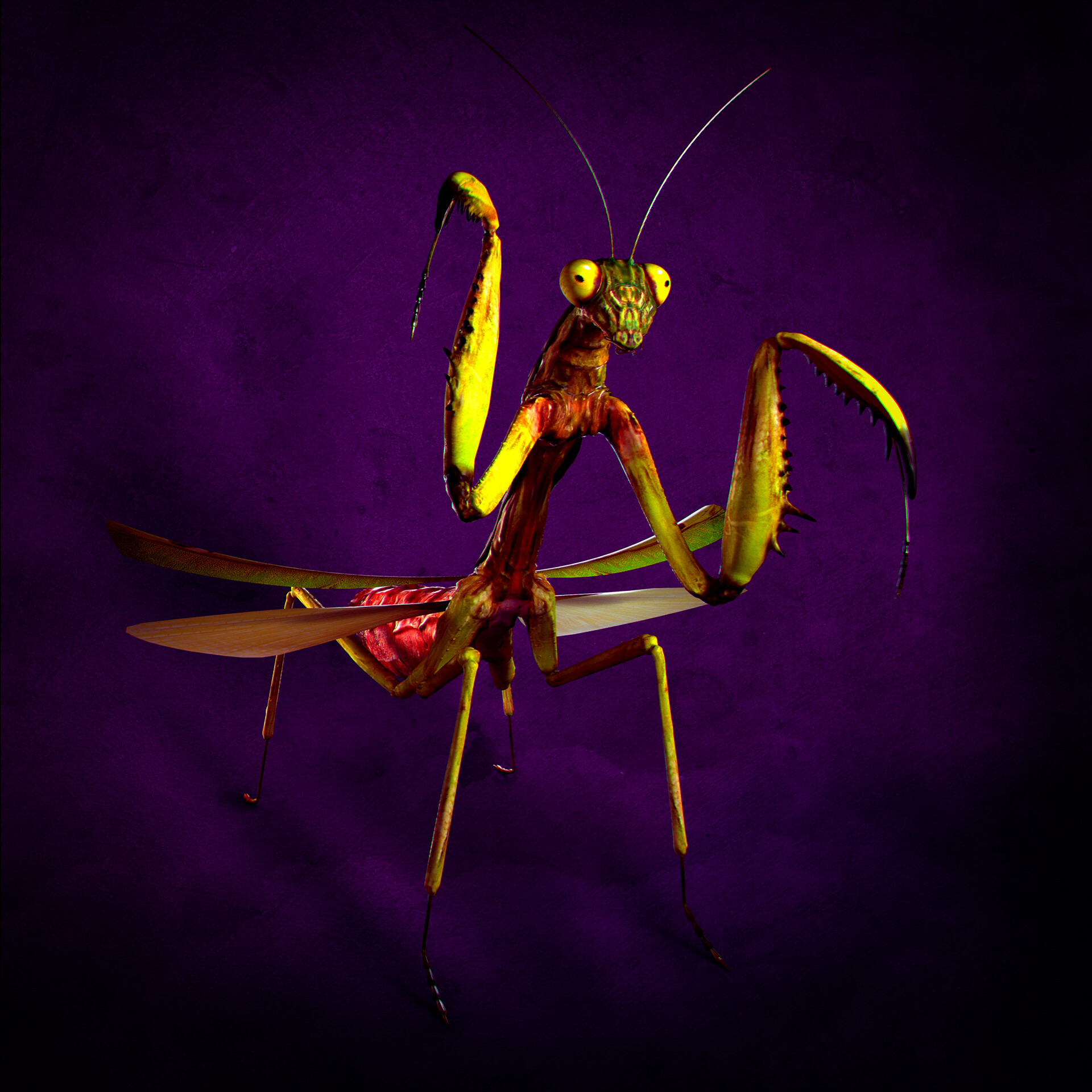 ArtStation - Praying Mantis (model 3D)