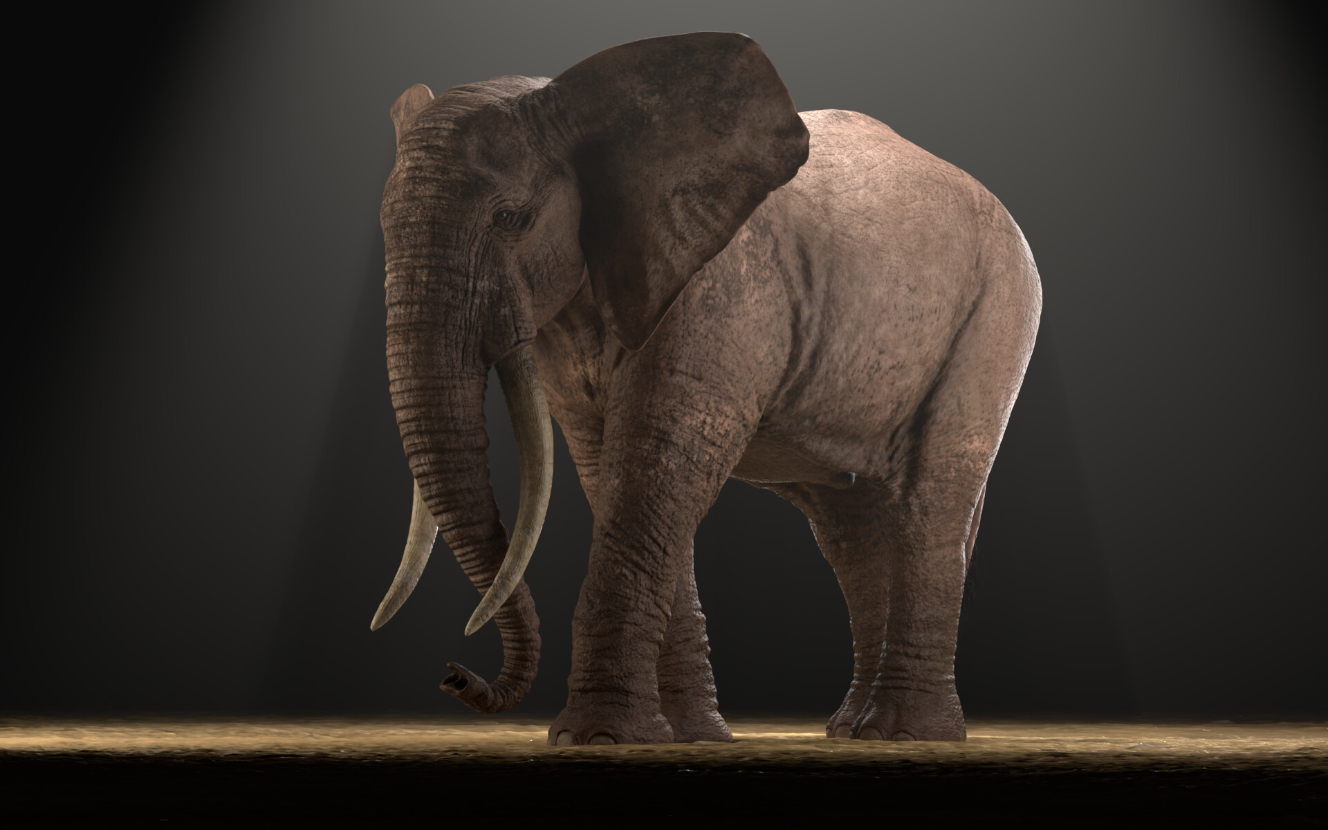 ArtStation - African Elephant