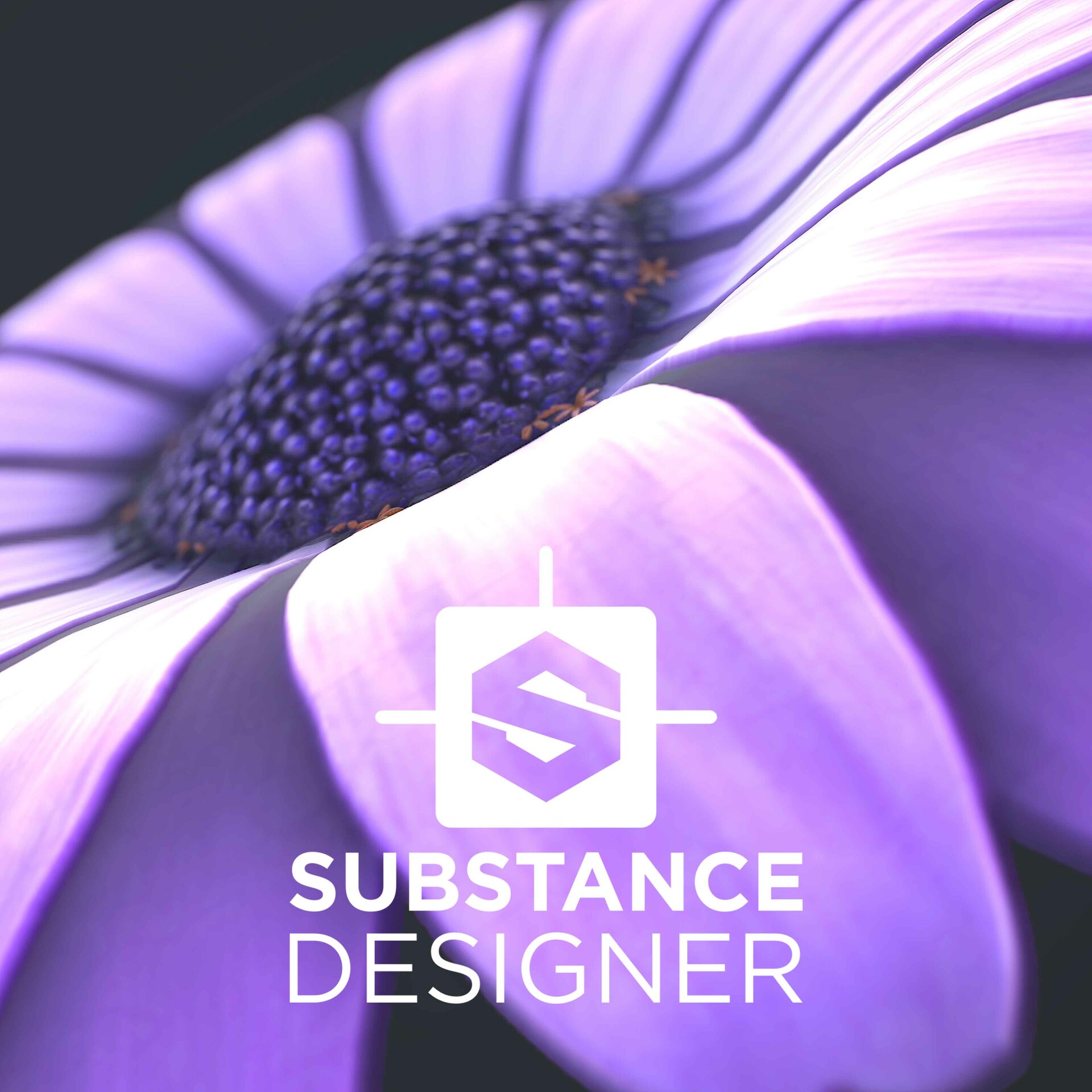ArtStation - Flower Substance designer