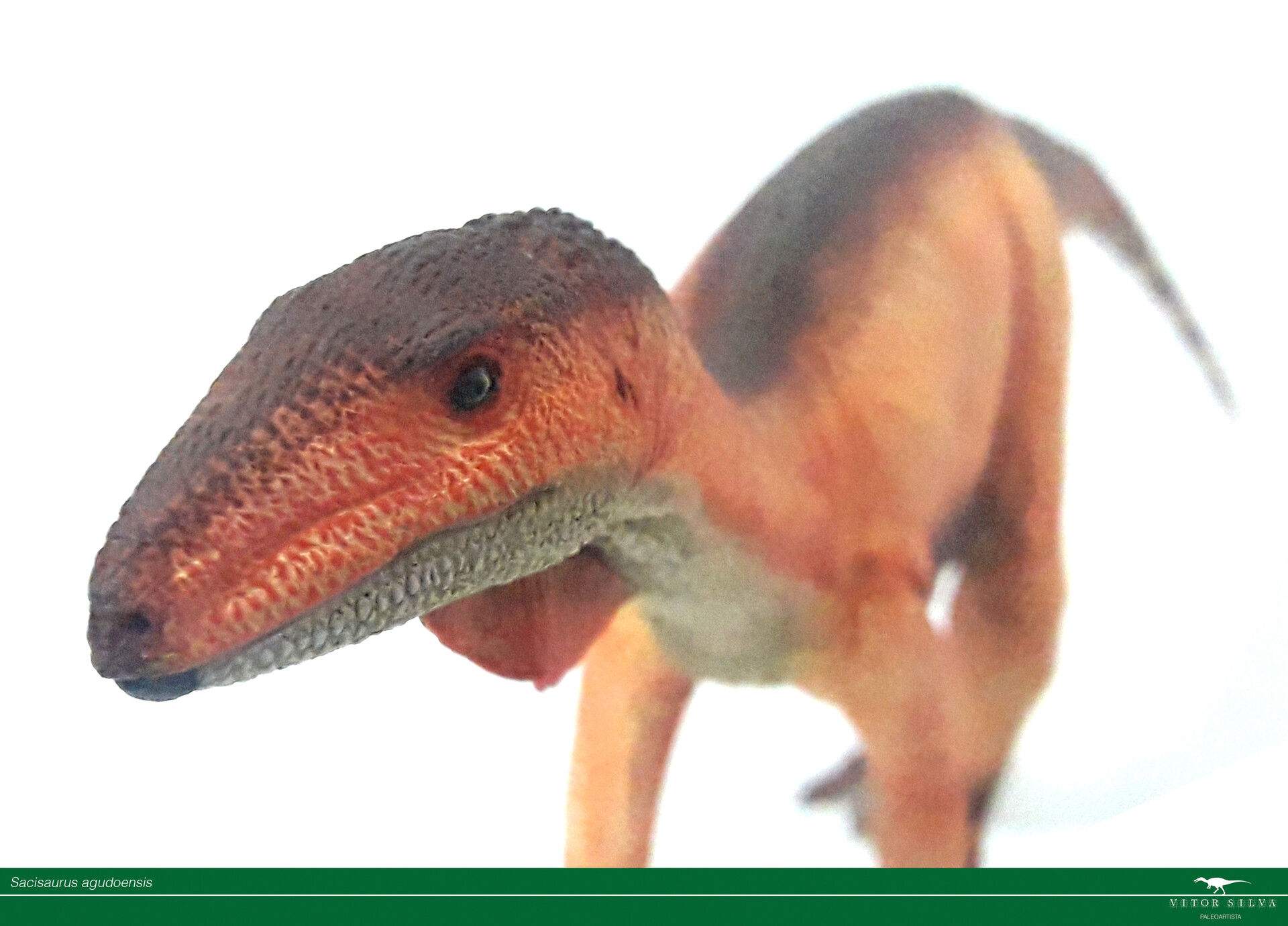 ArtStation - Sacisaurus