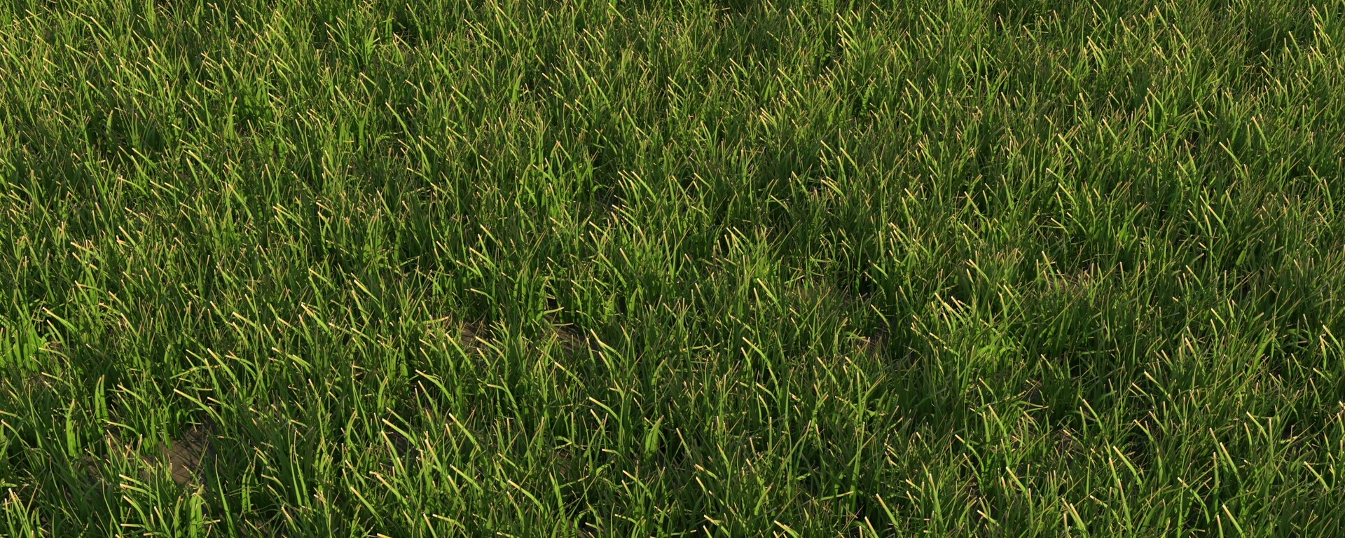 ArtStation - environment rendering