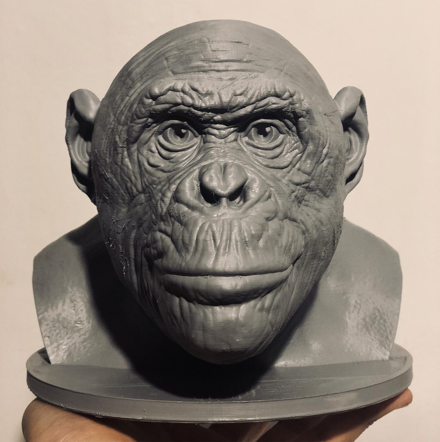 ArtStation - Bonobo Head 3D Print