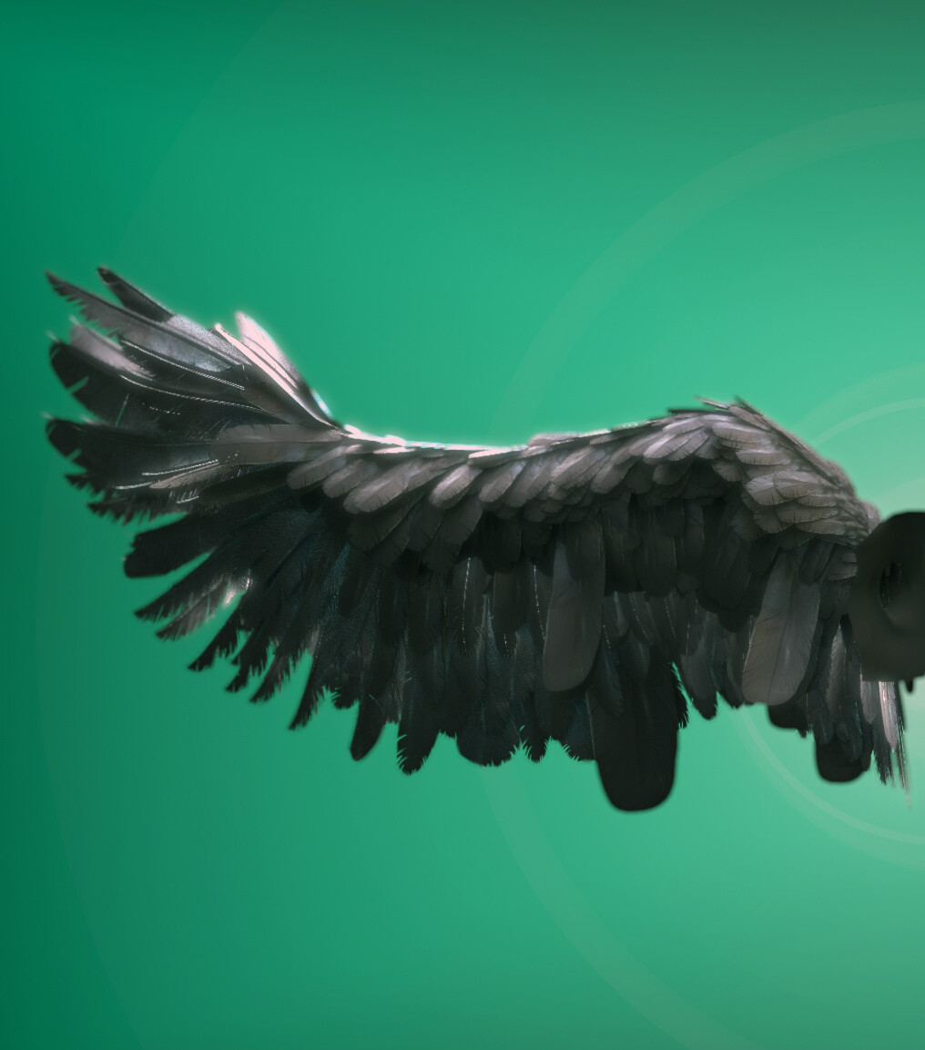 ArtStation - wing