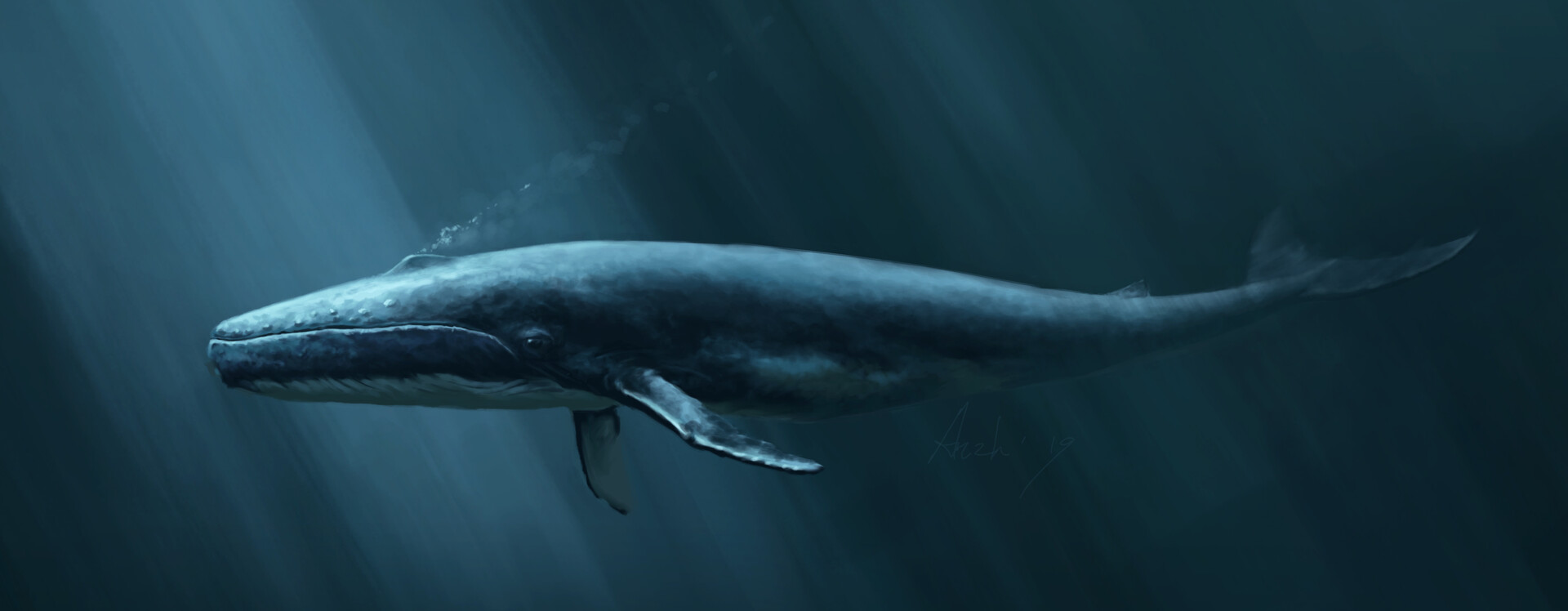 ArtStation - Blue whale