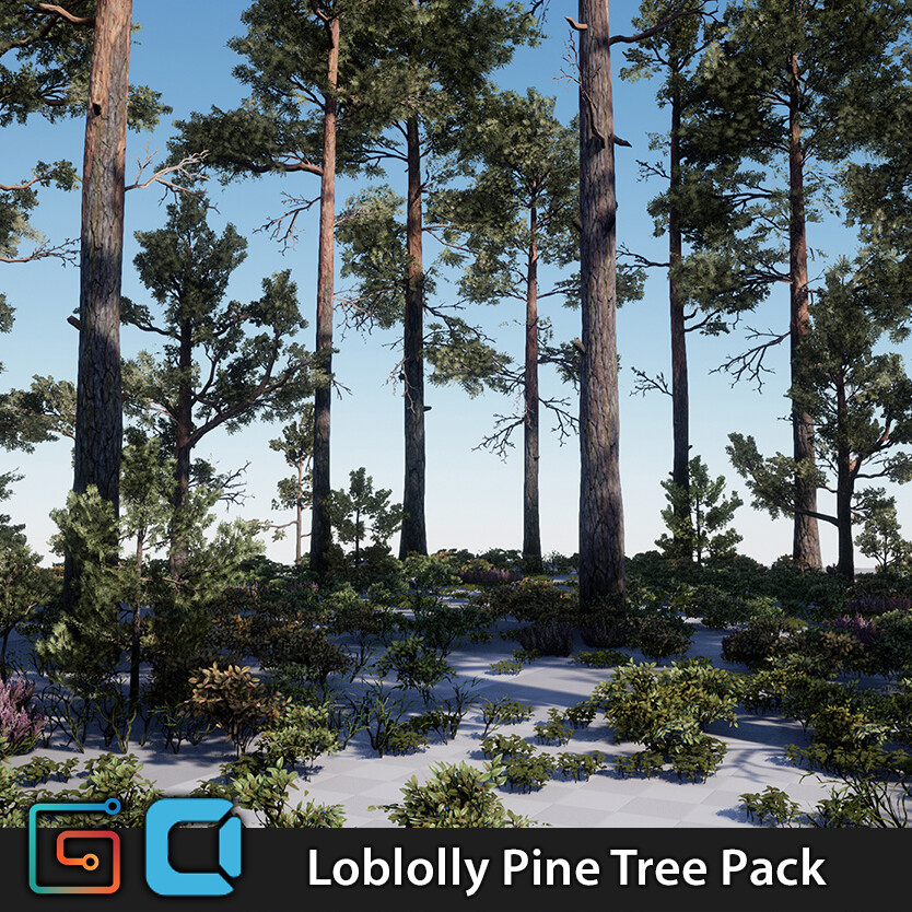 ArtStation - Loblolly Pine Tree Kit